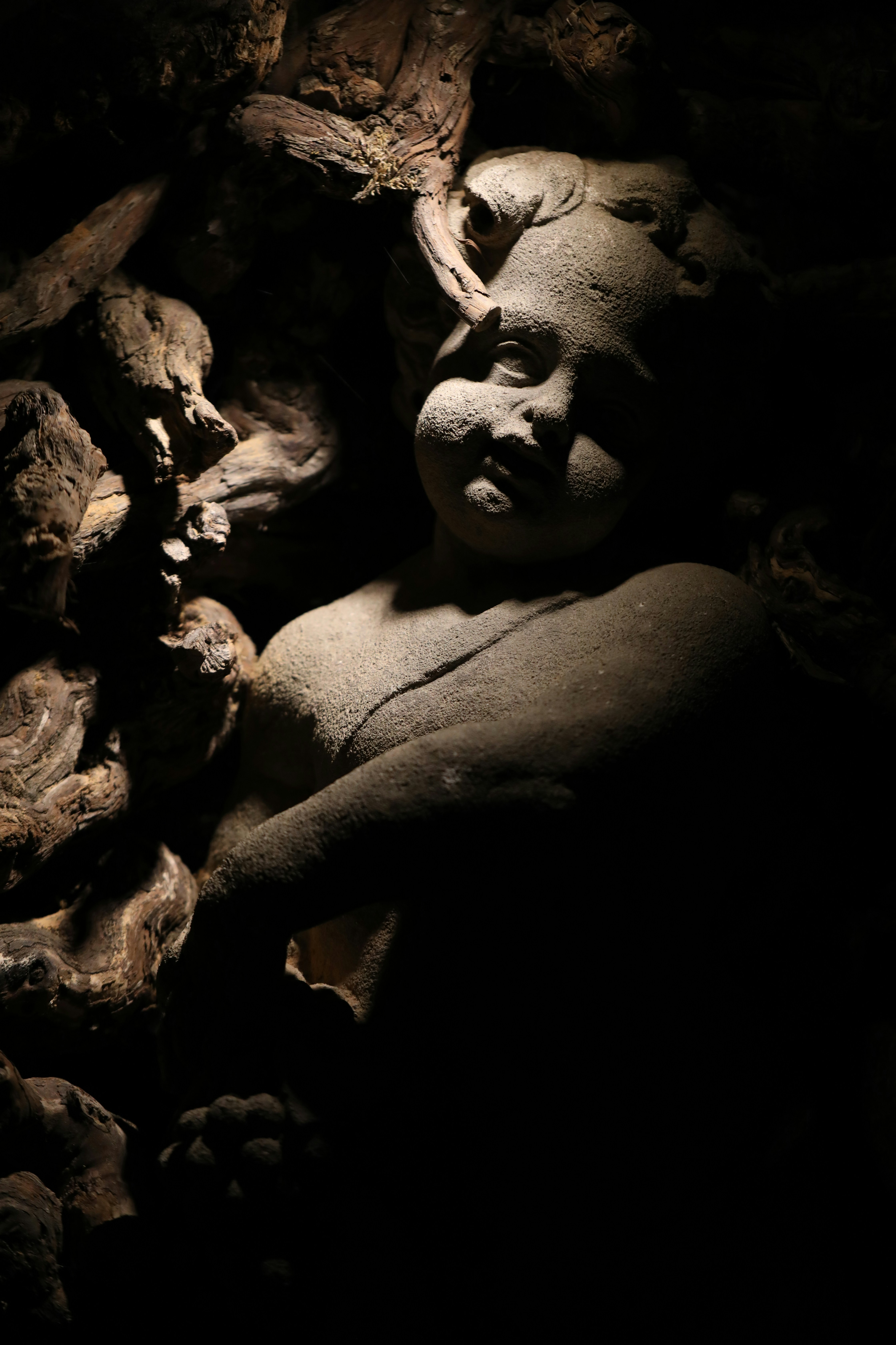 The Source Pictures | Download Free Images on Unsplash