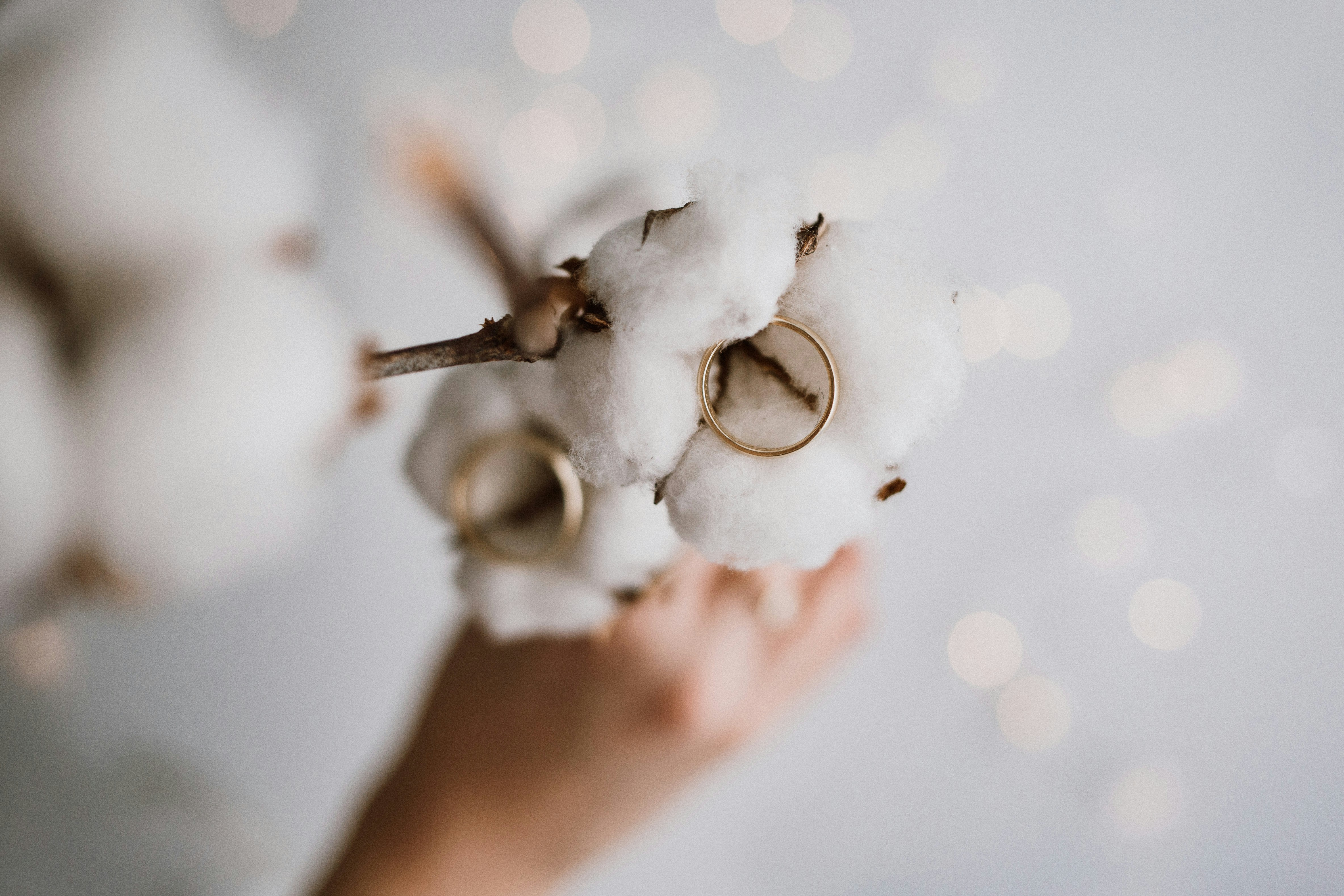 Two gold-colored wedding rings photo – Free Wedding Image on Unsplash