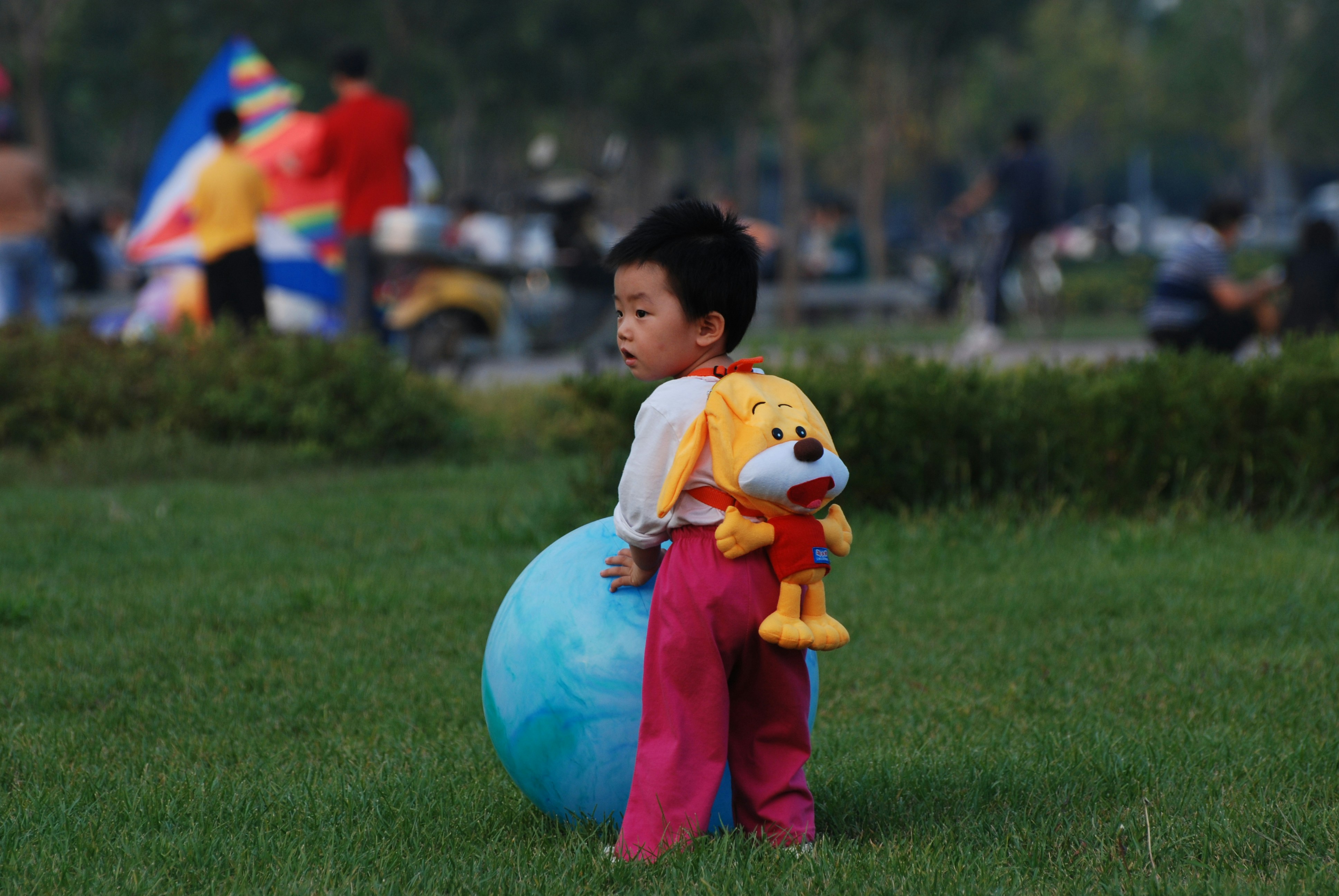 Child with yellow dog backpack gazes toward distant playground, grass field as soft backdrop
