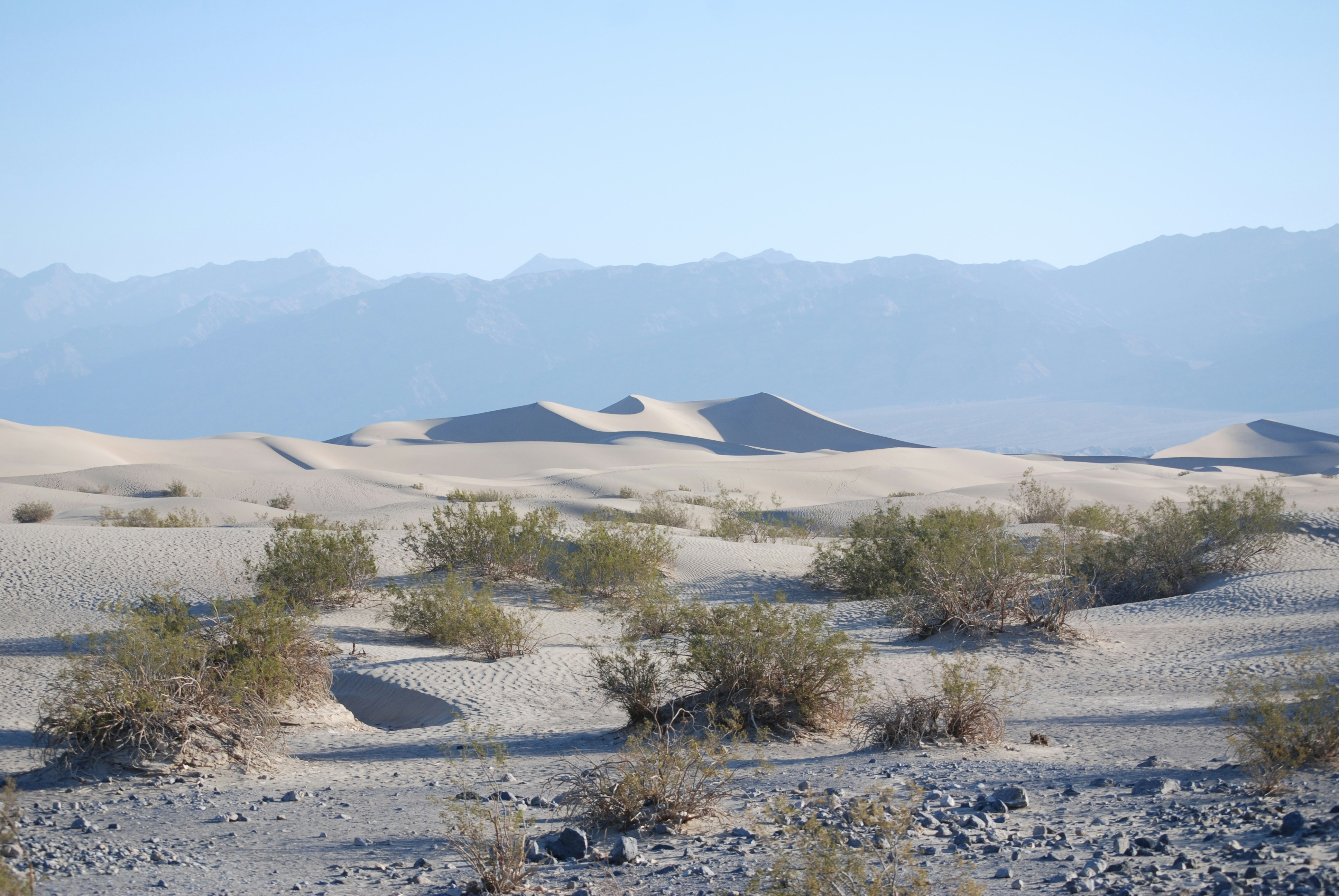 Un paysage désertique avec des montagnes en arrière-plan photo – Photo ...