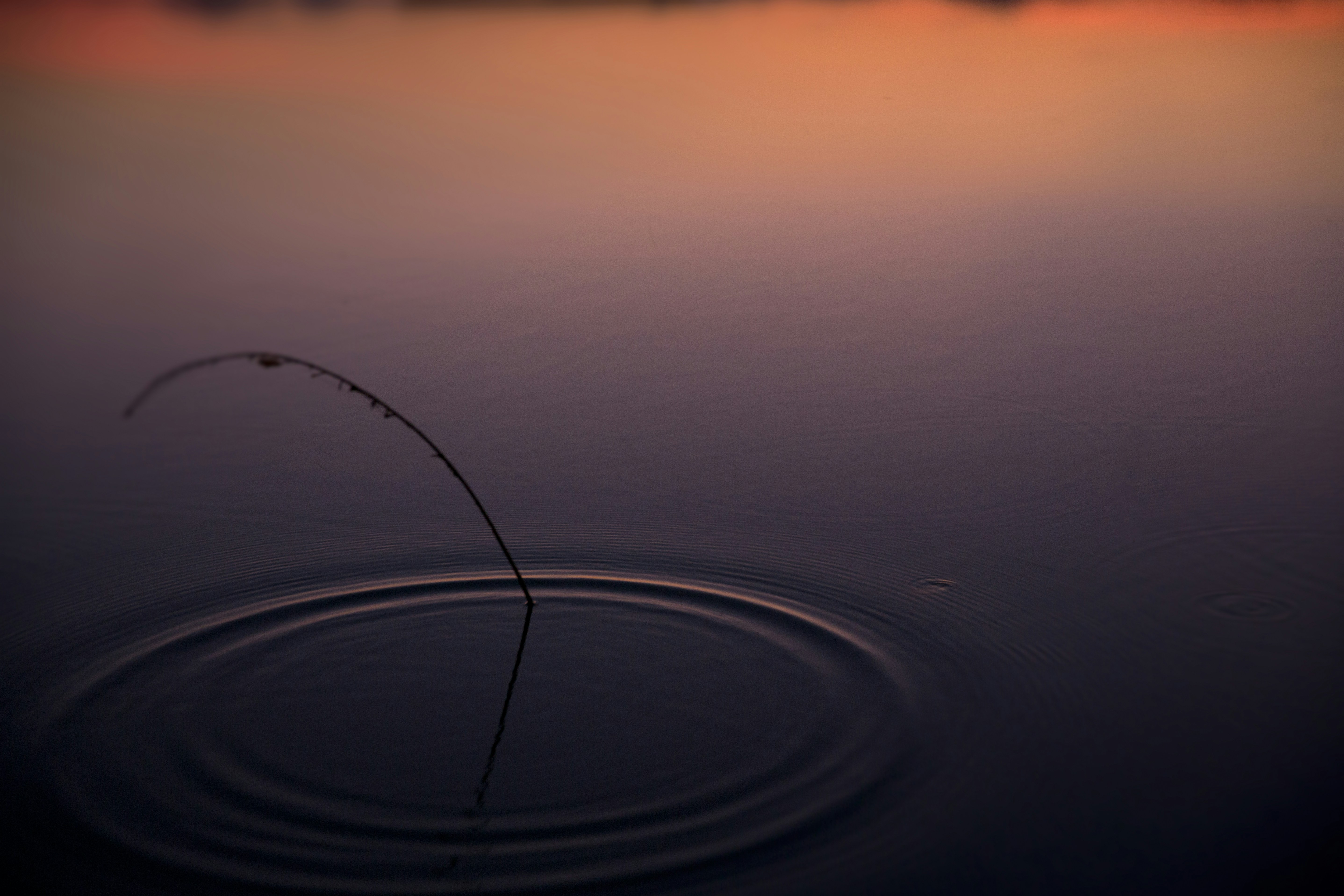Still Water Pictures | Download Free Images on Unsplash