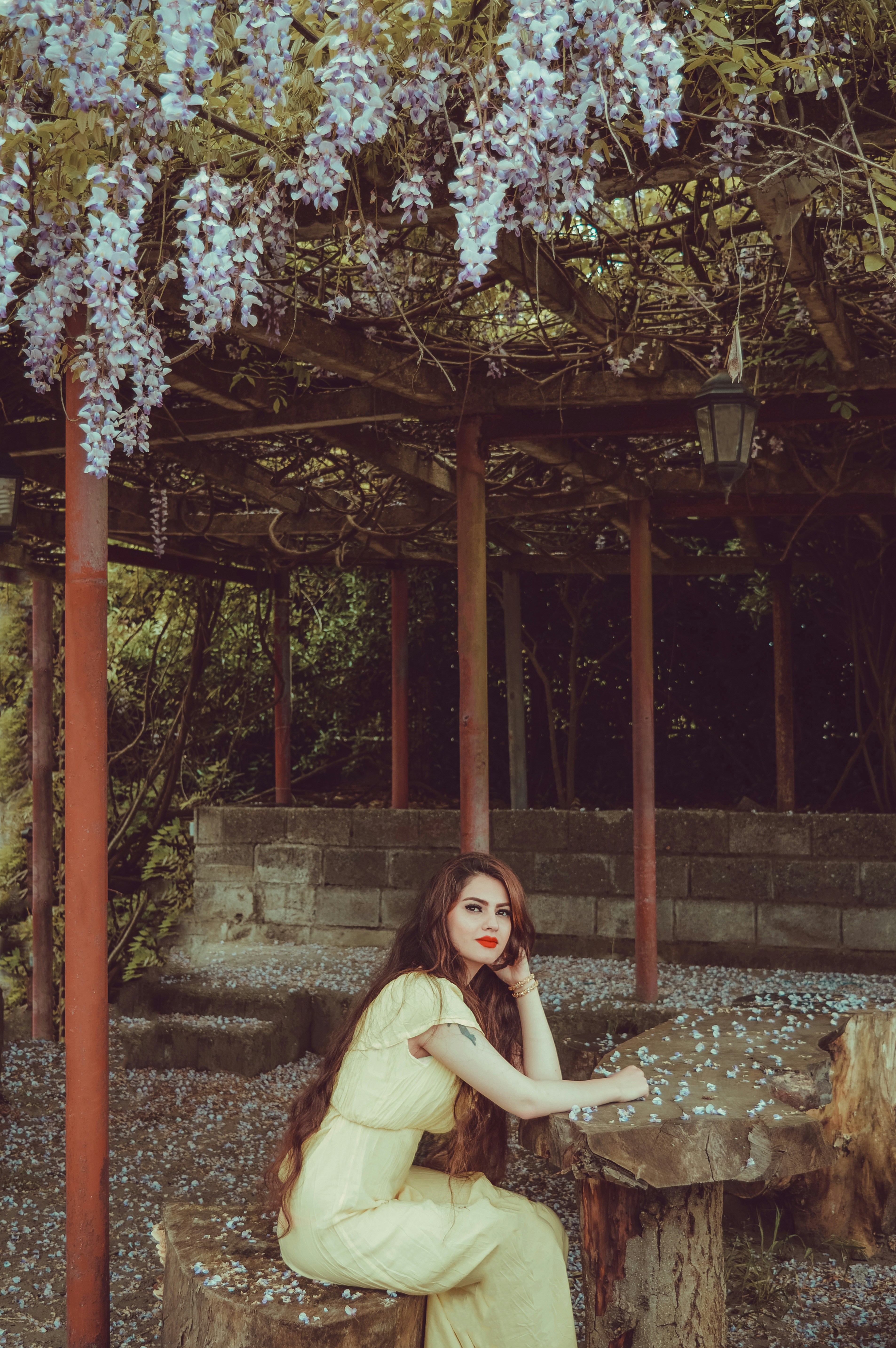 Wisteria Canopy Moment: A Quiet Portrait at the Garden Pergola
