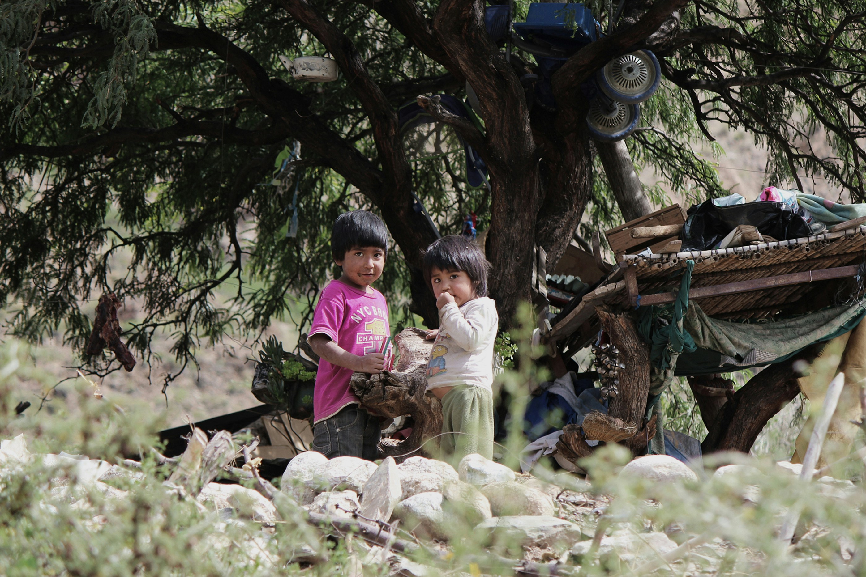 Two children playing under tree photo – Free Natureza Image on Unsplash