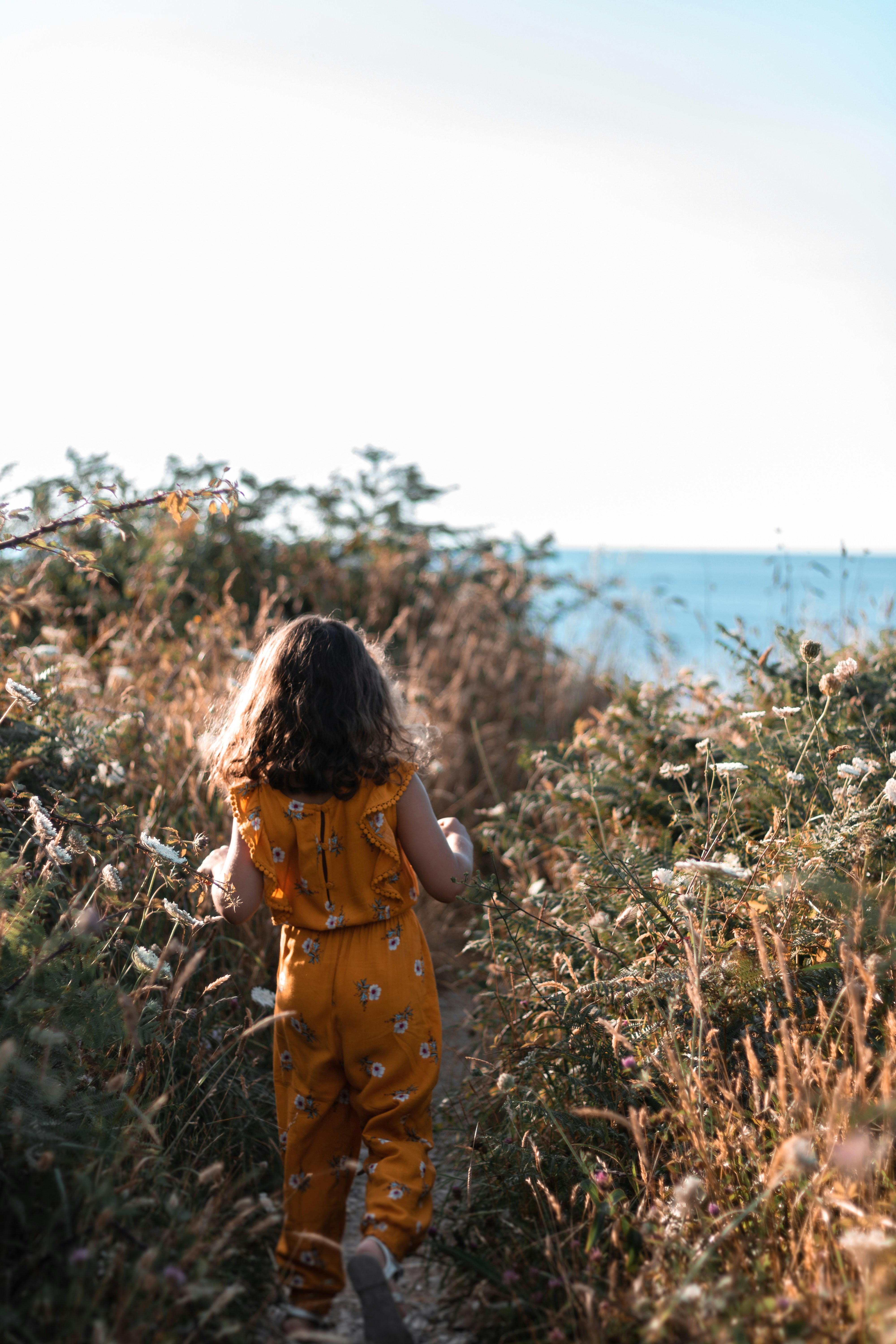 Golden Path to the Sea: a child among wild grasses toward the horizon