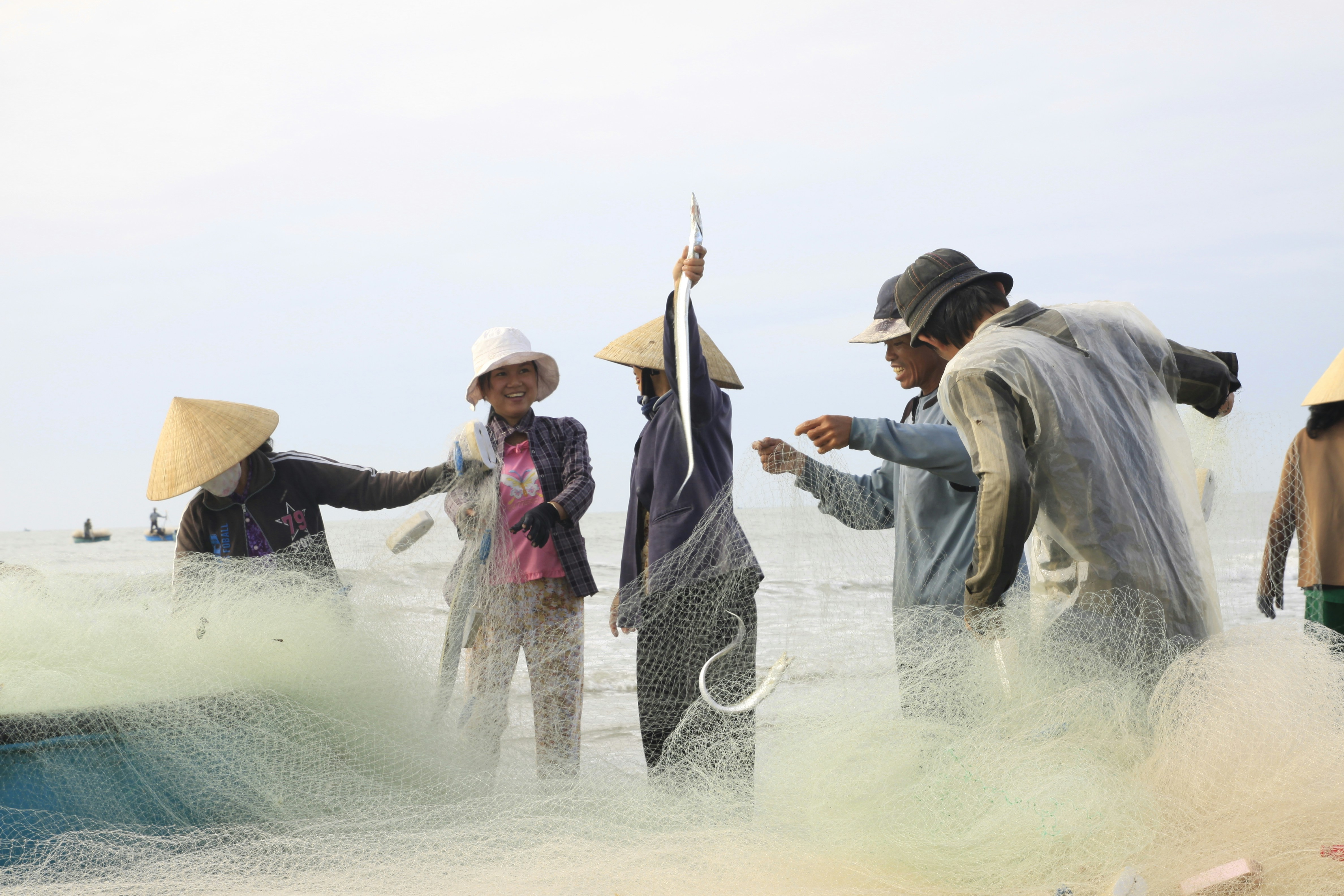 Group of fishermen fixing fish net photo – Free Collecting fish Image ...