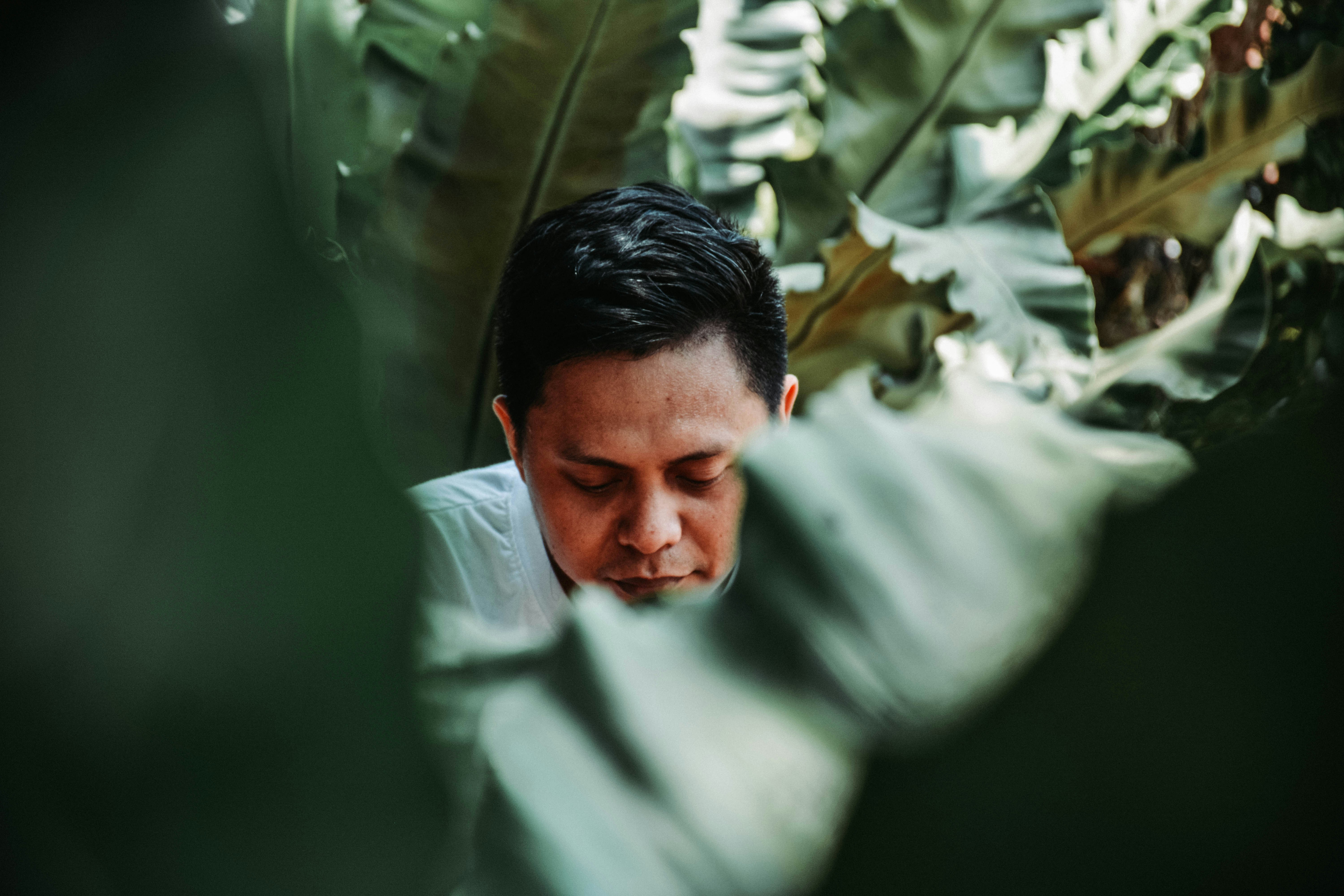 Face Beneath the Canopy: A Quiet Portrait Framed by Giant Leaves