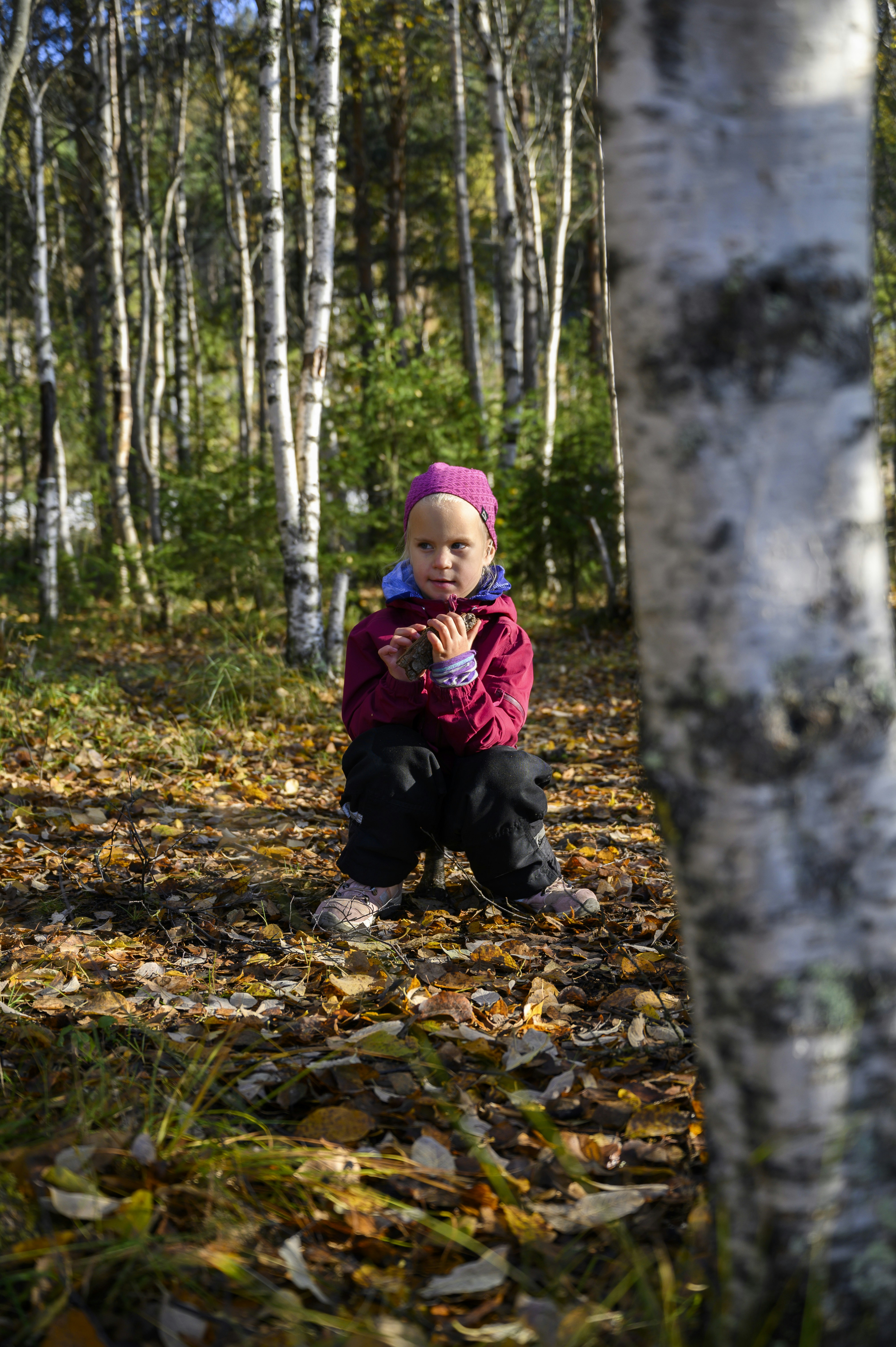 Child in a Birch Forest: Autumn Stillness
