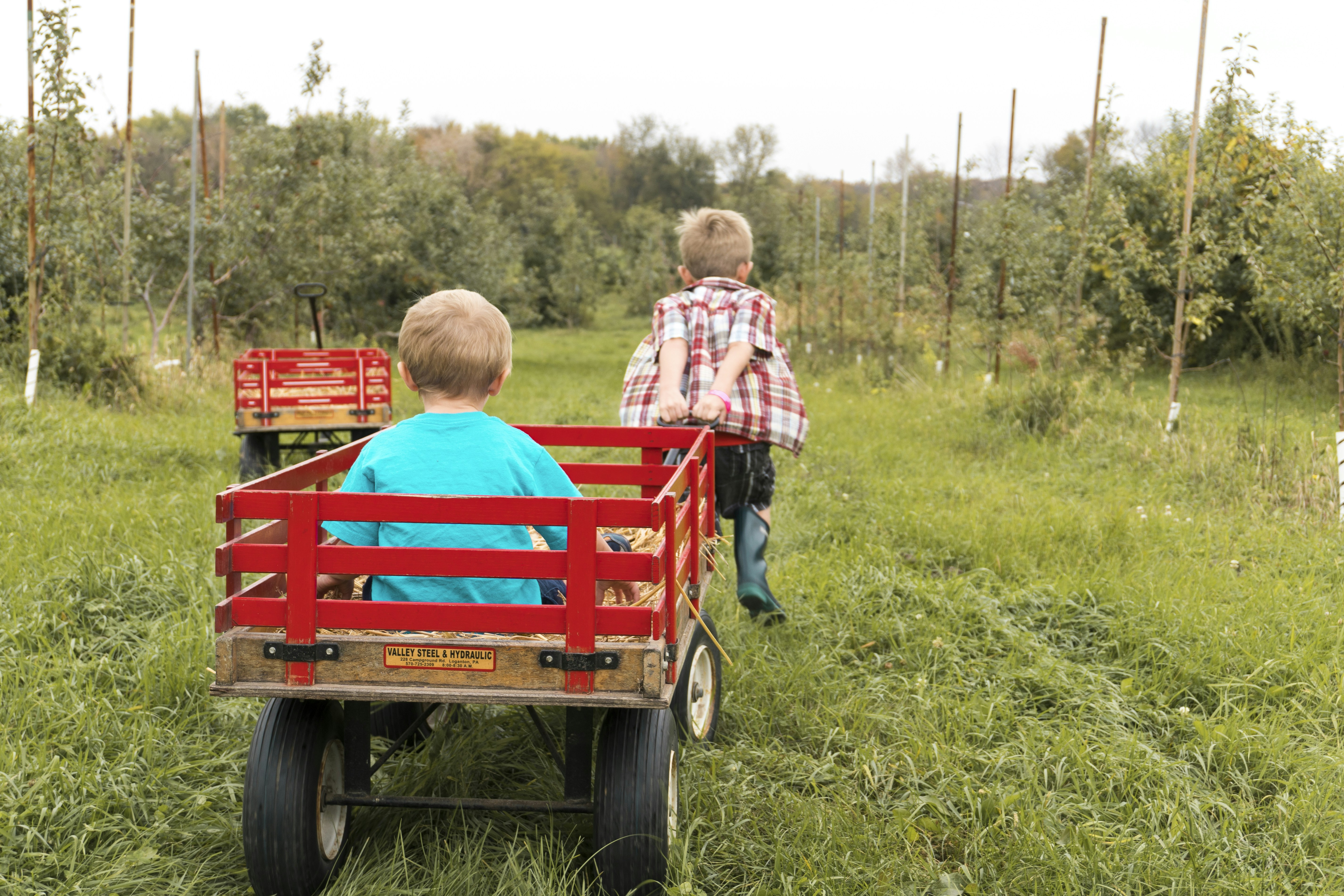 Boy riding on a wagon being pulled by another boy photo – Free Human ...