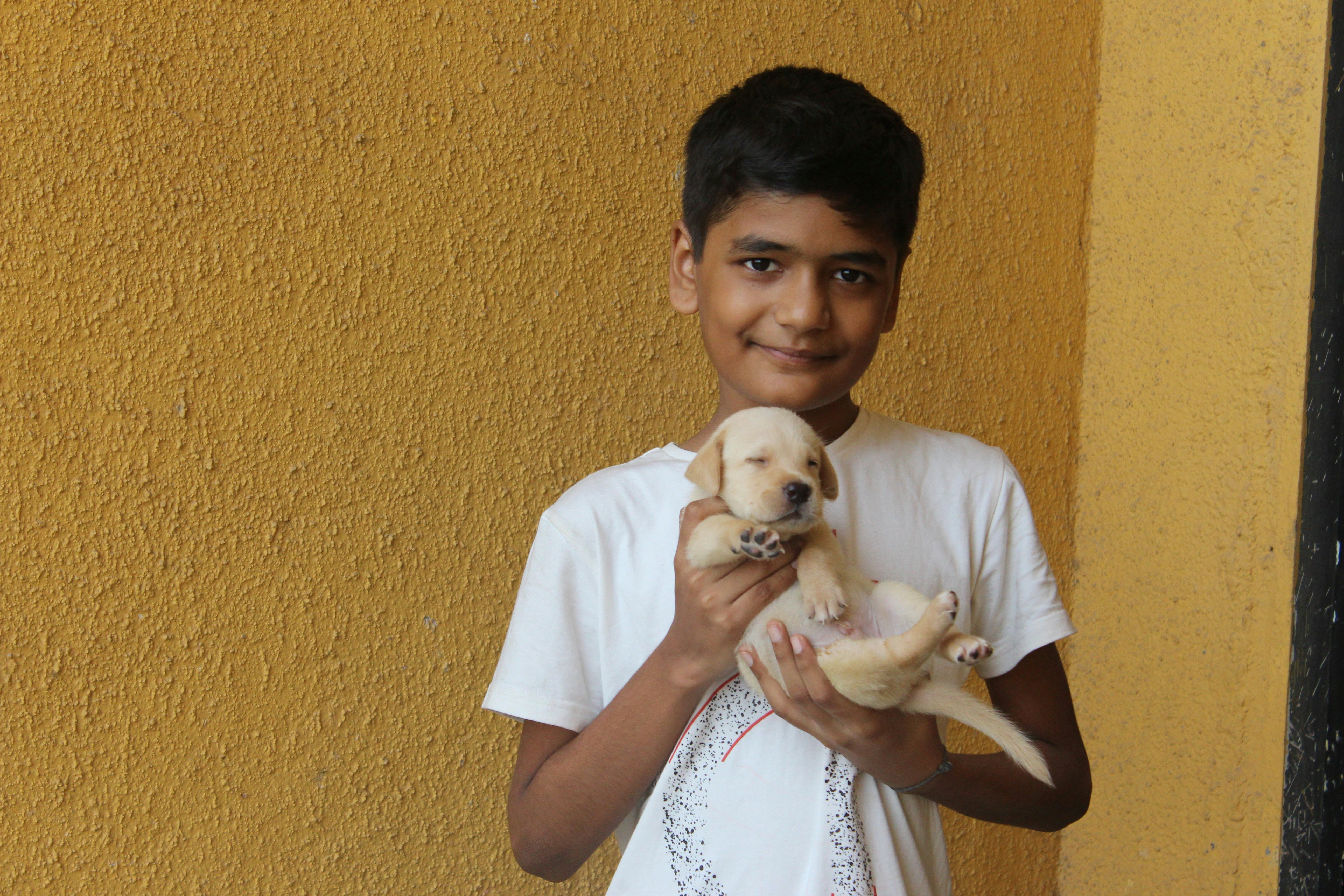 Holding Hope: A Boy and His Pup Against a Sunlit Wall