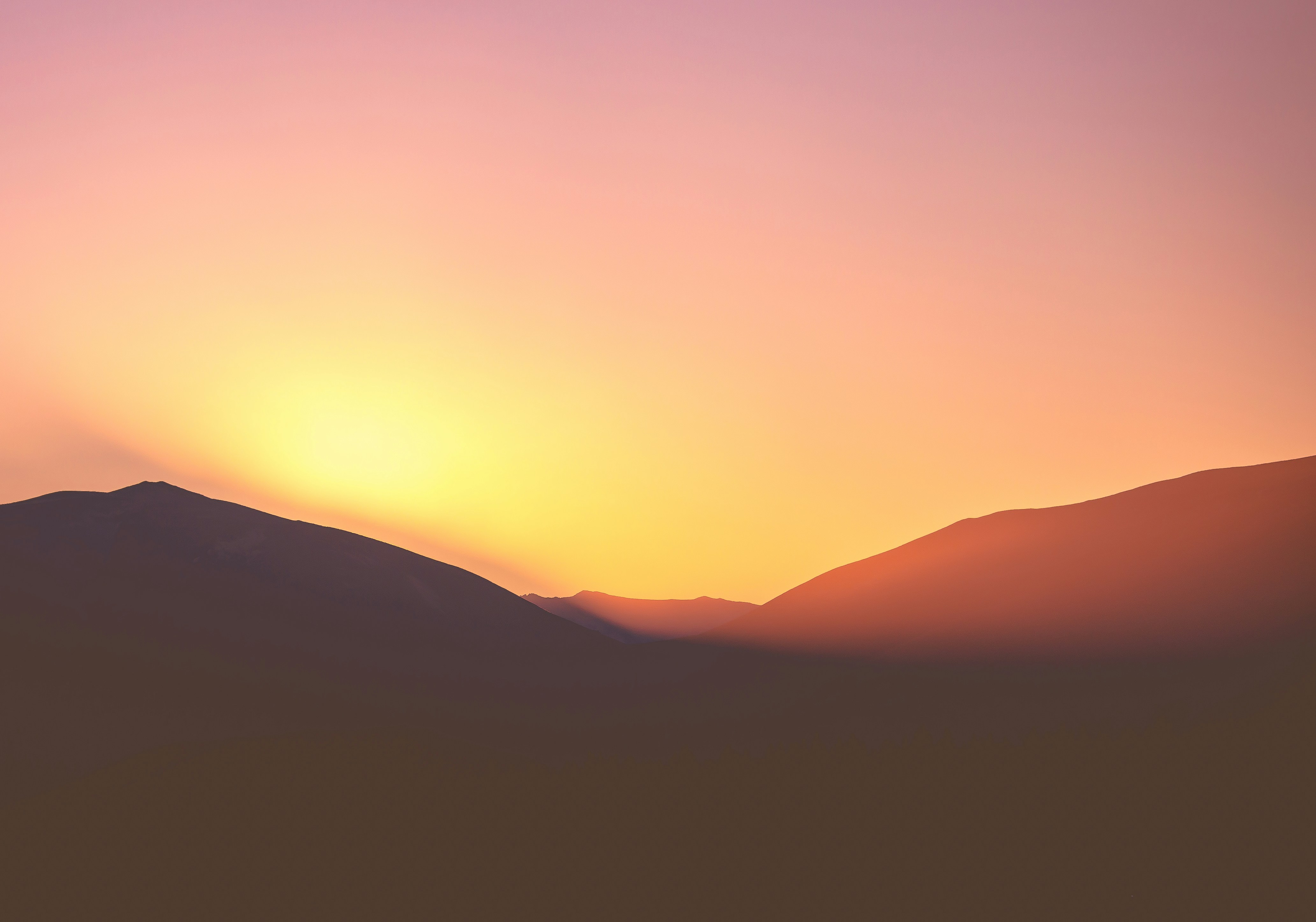 New ZealandMarek Piwnicki