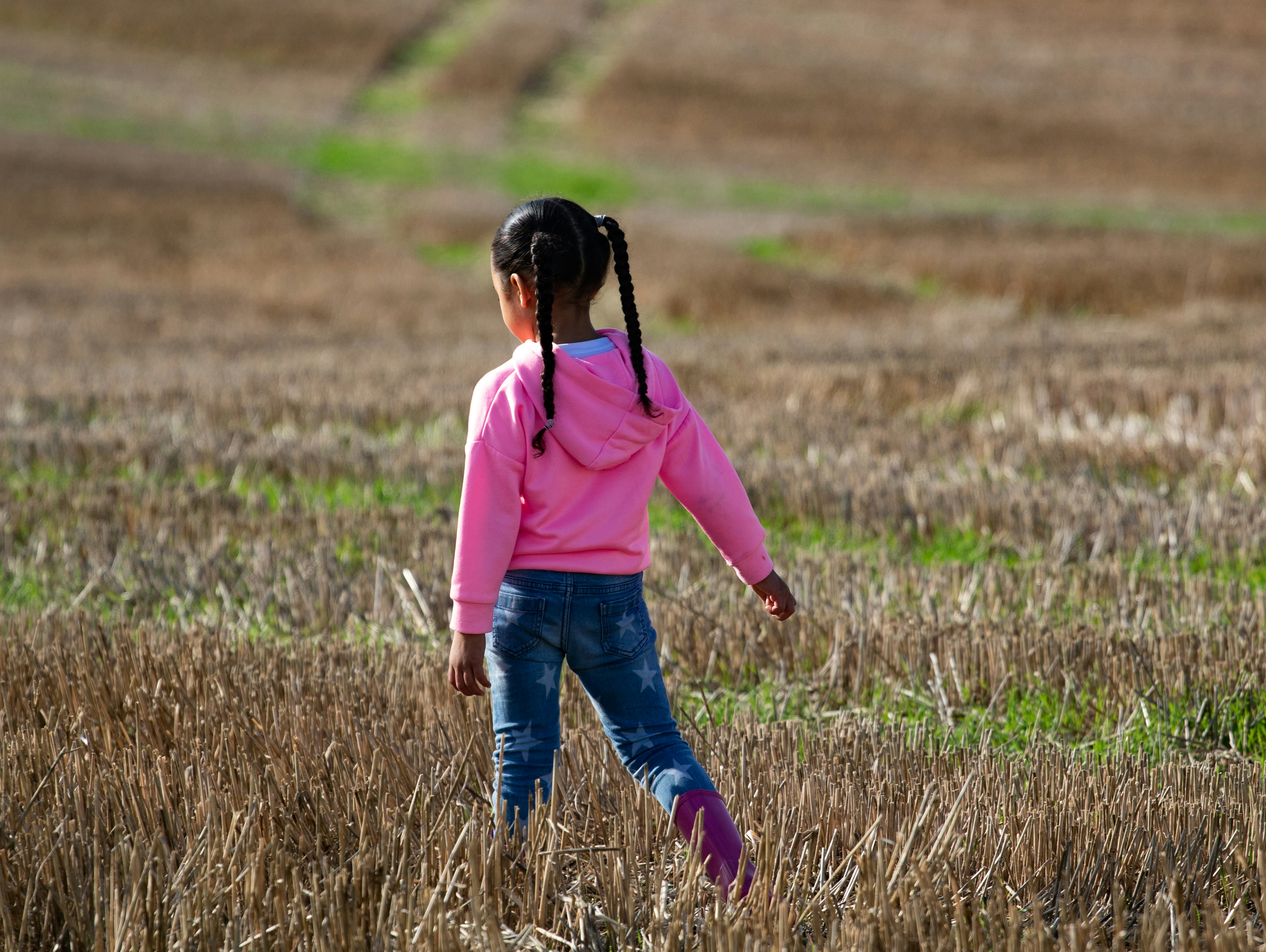 Une petite fille en veste rose marchant dans un champ photo – Photo La ...