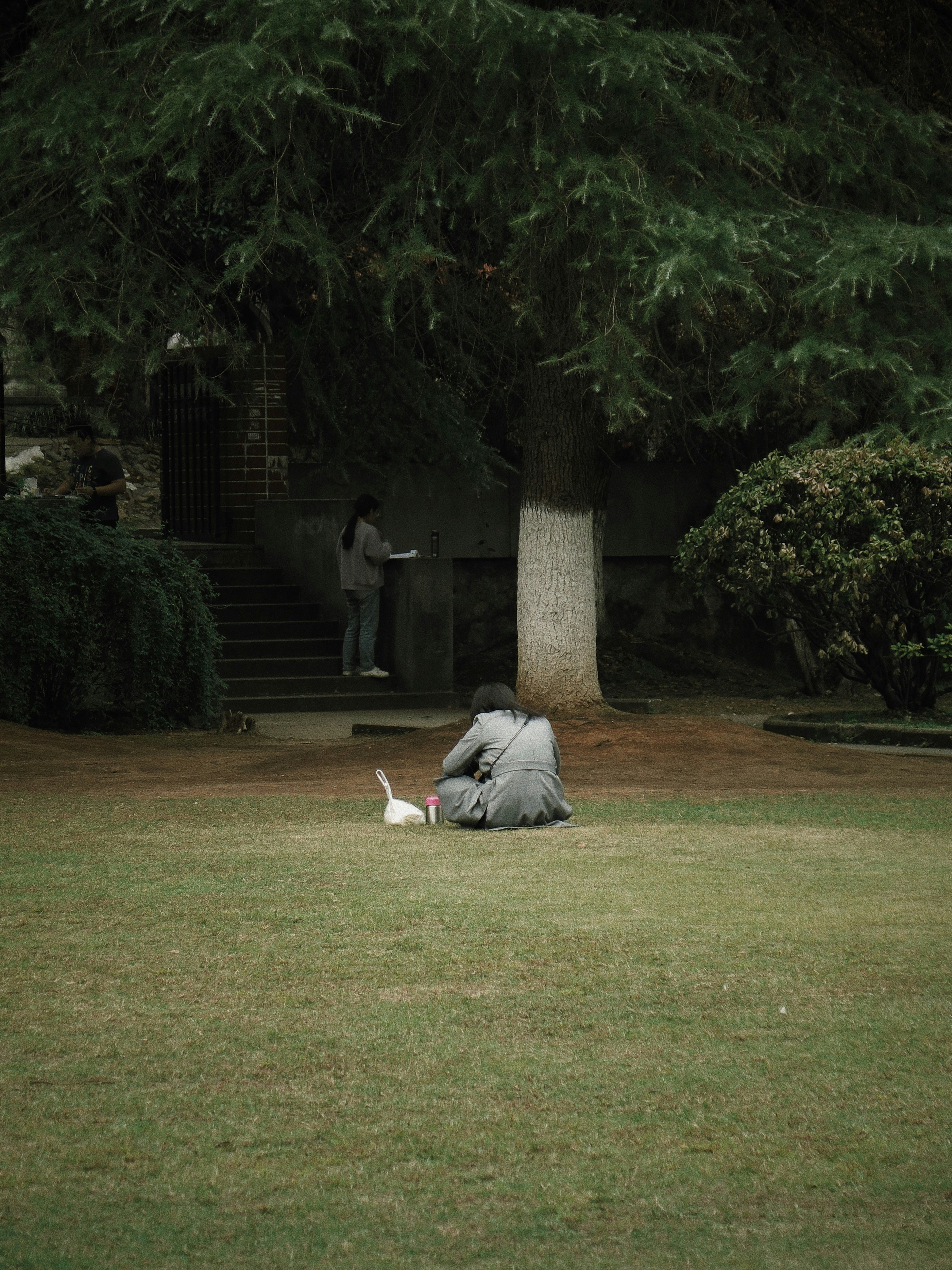 A photograph shows a lone person sitting on the grass in a park, accompanied by a small white dog. A large tree and shrubs with steps and a doorway visible in the background provide a subdued backdrop.