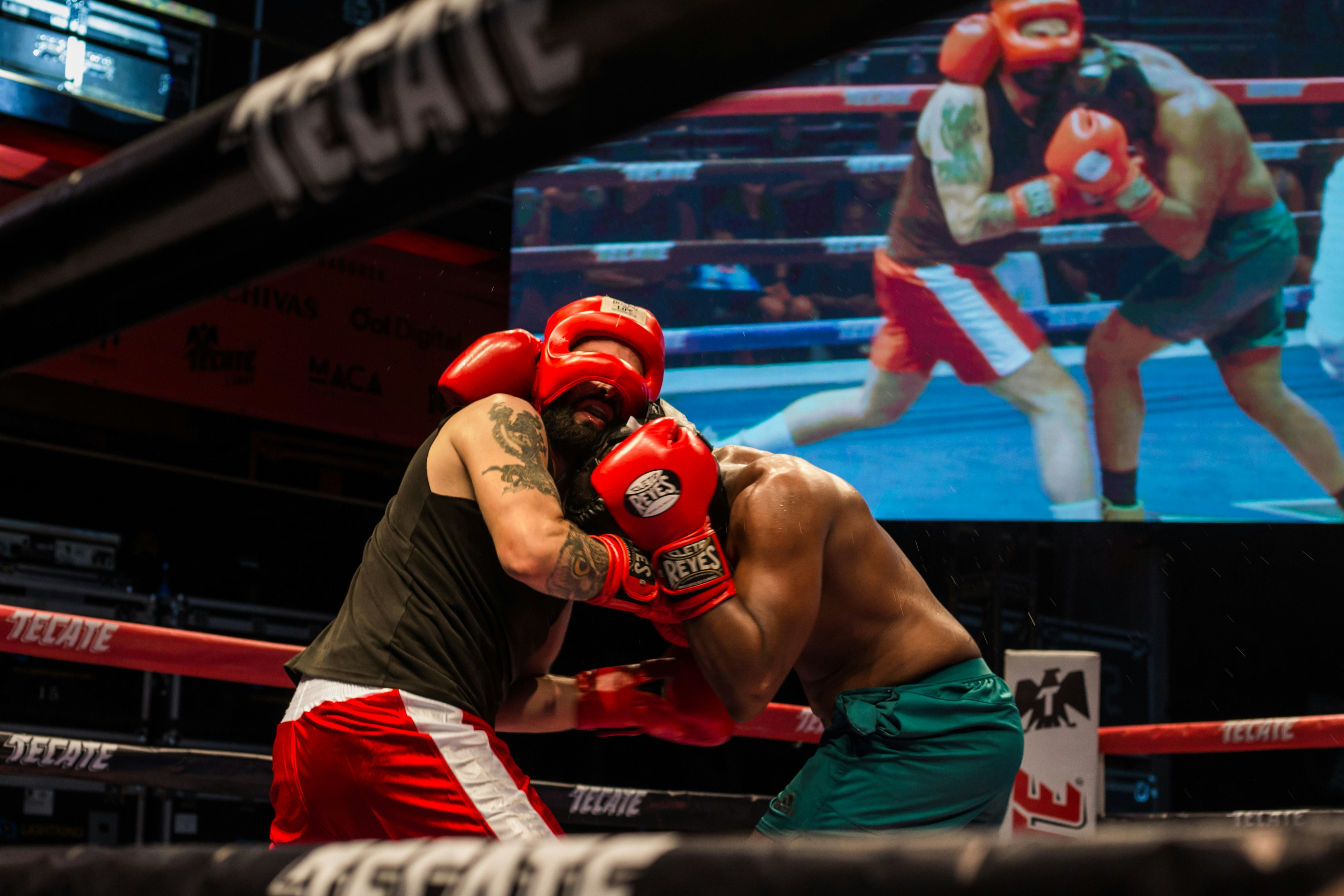 Boxers on ring near flat screen monitor photo – Free Human Image on ...