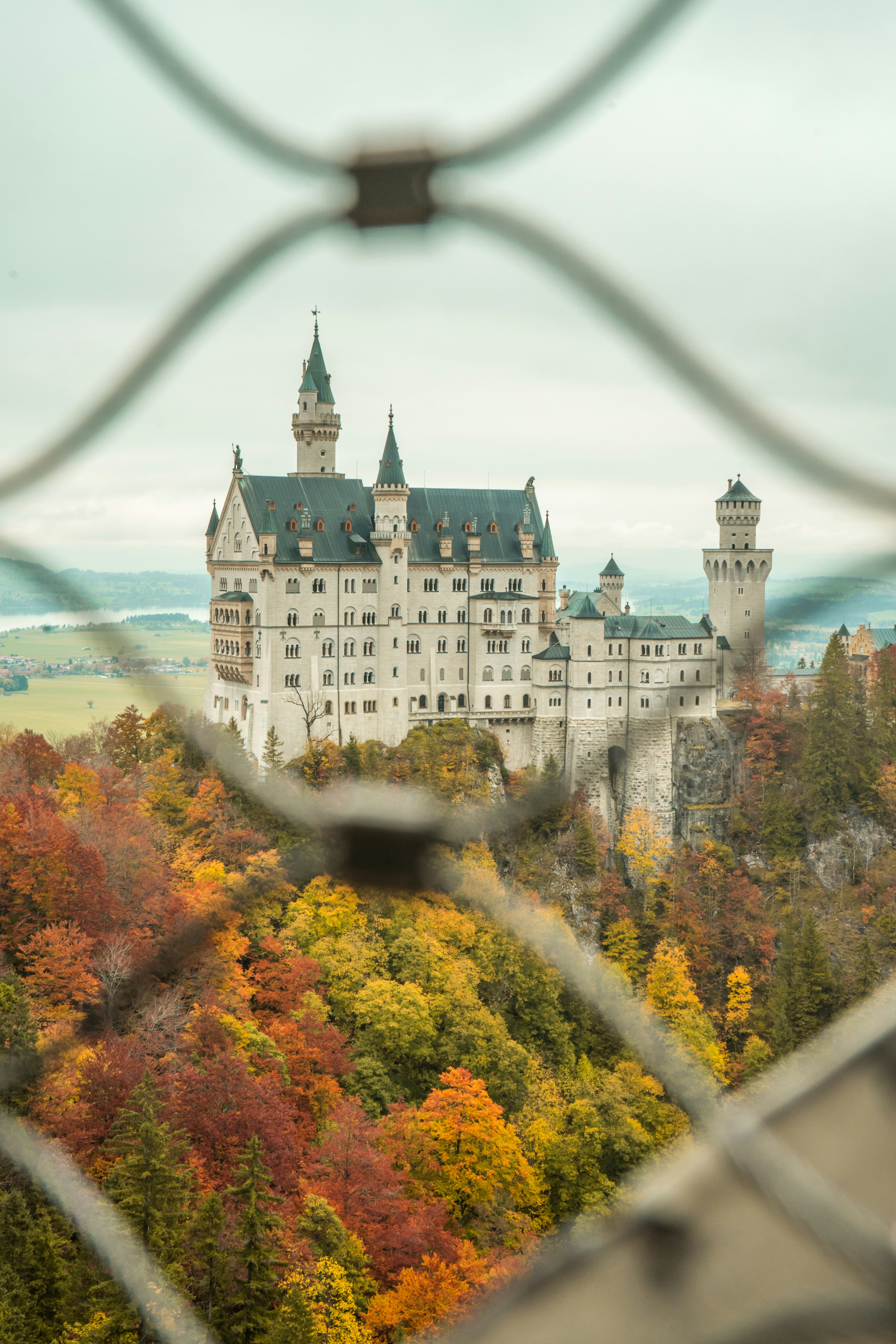 Castle in Focus: Turreted Grandeur Framed by a Meticulous Mesh