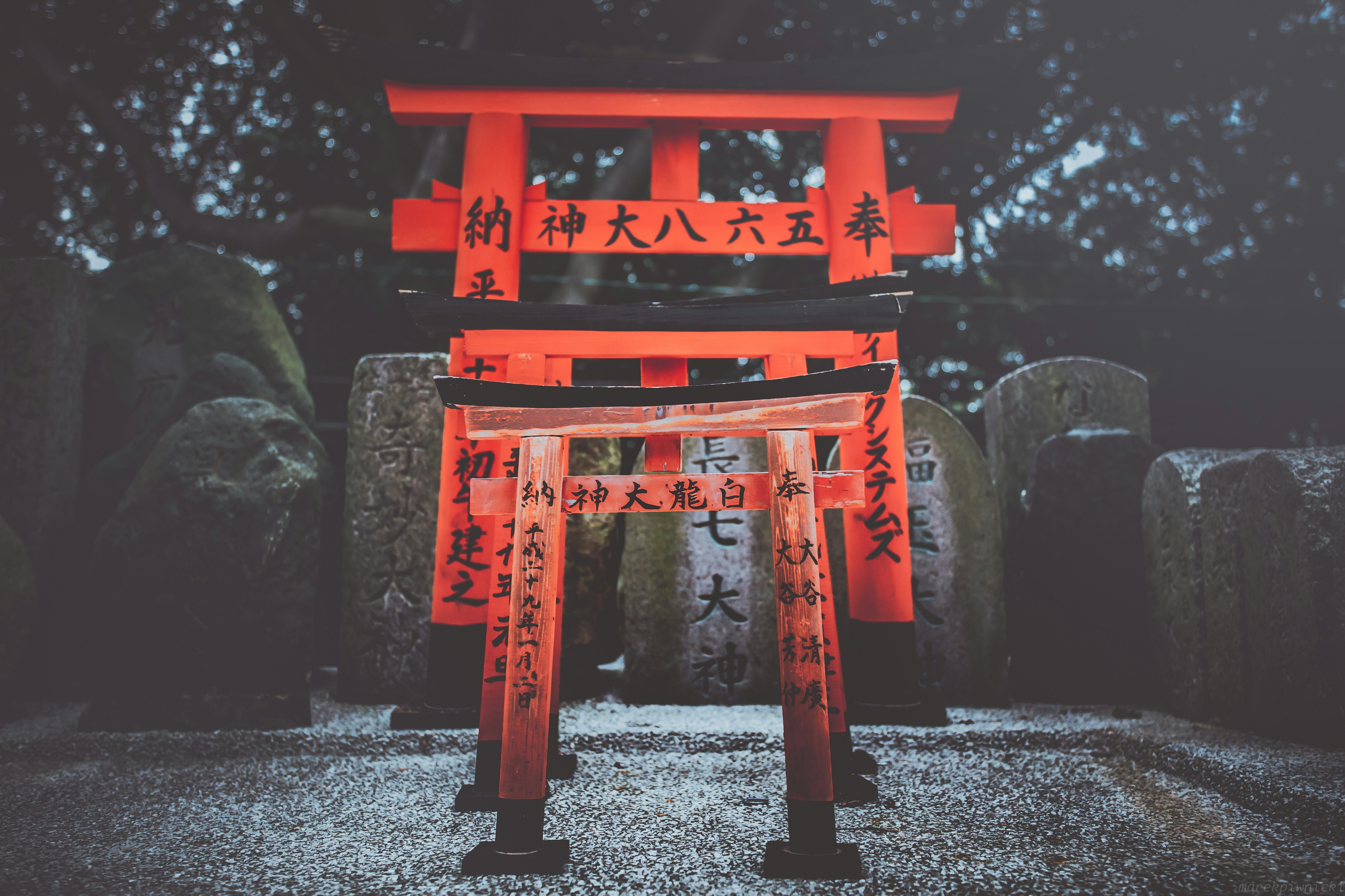 Red Torii gate photo – Free Fushimi Image on Unsplash