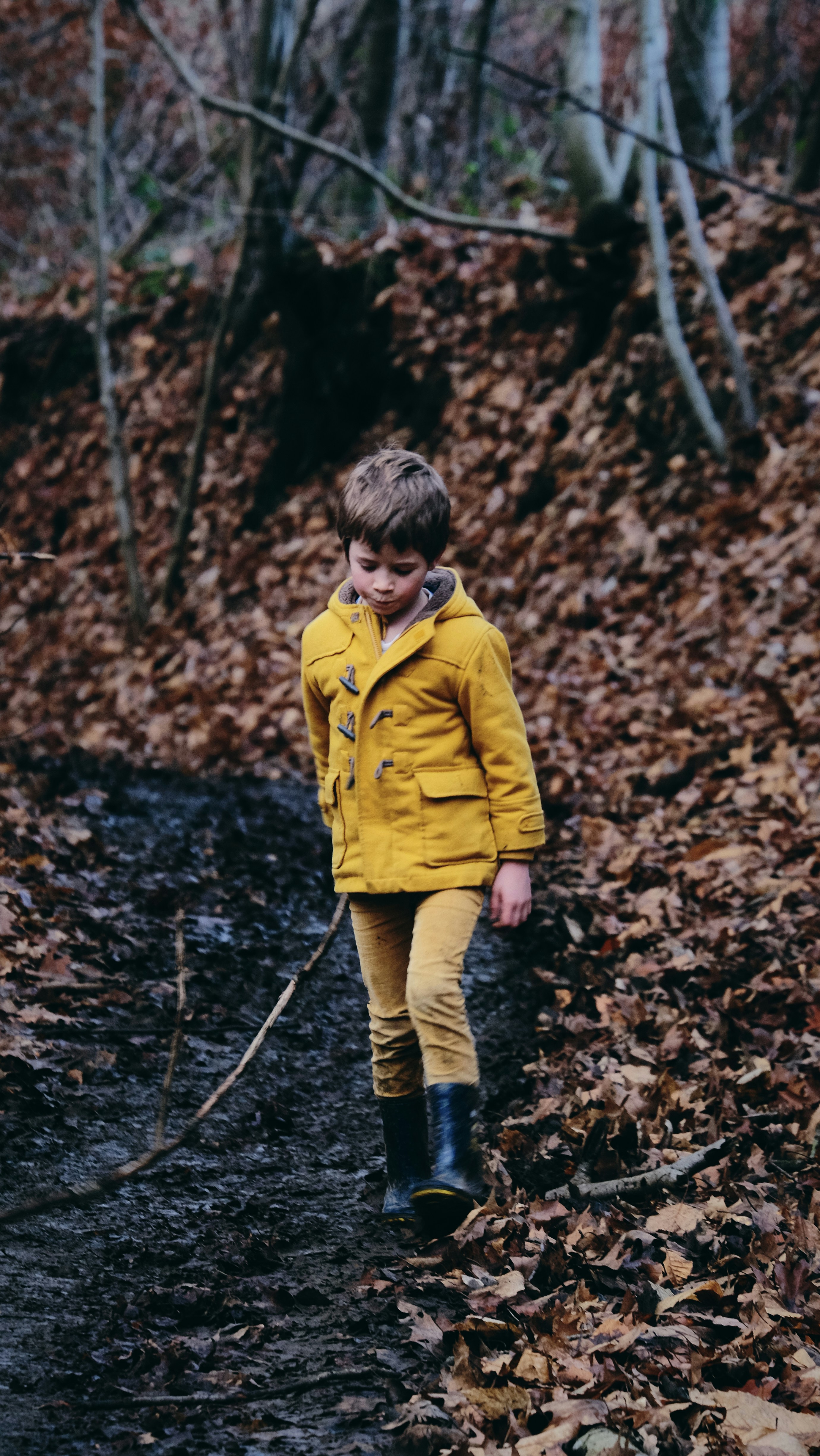 kid in forest