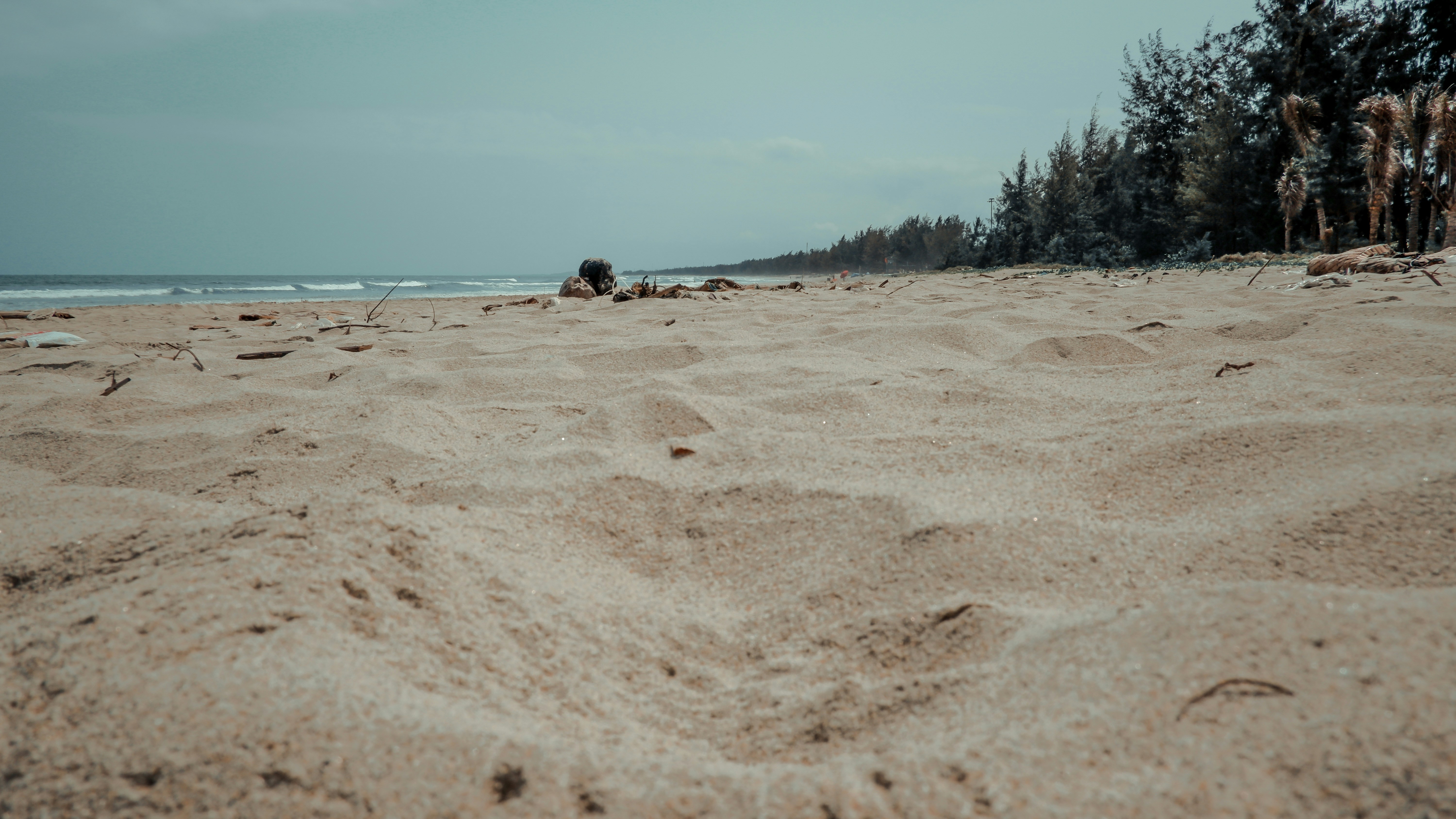 brown sand near body of water during daytime