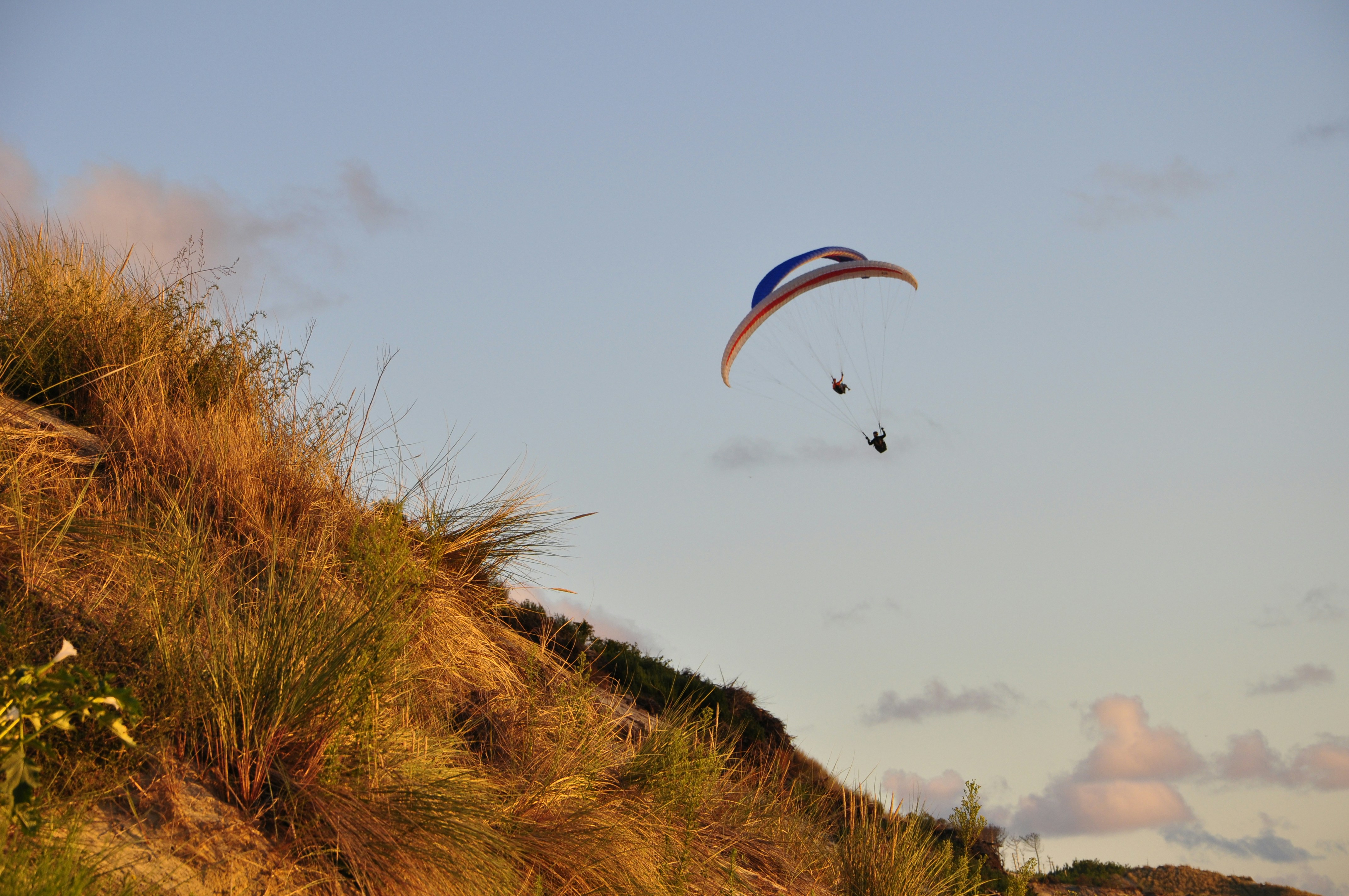 Dune-Top Glide: Paraglider Over Golden Grasses