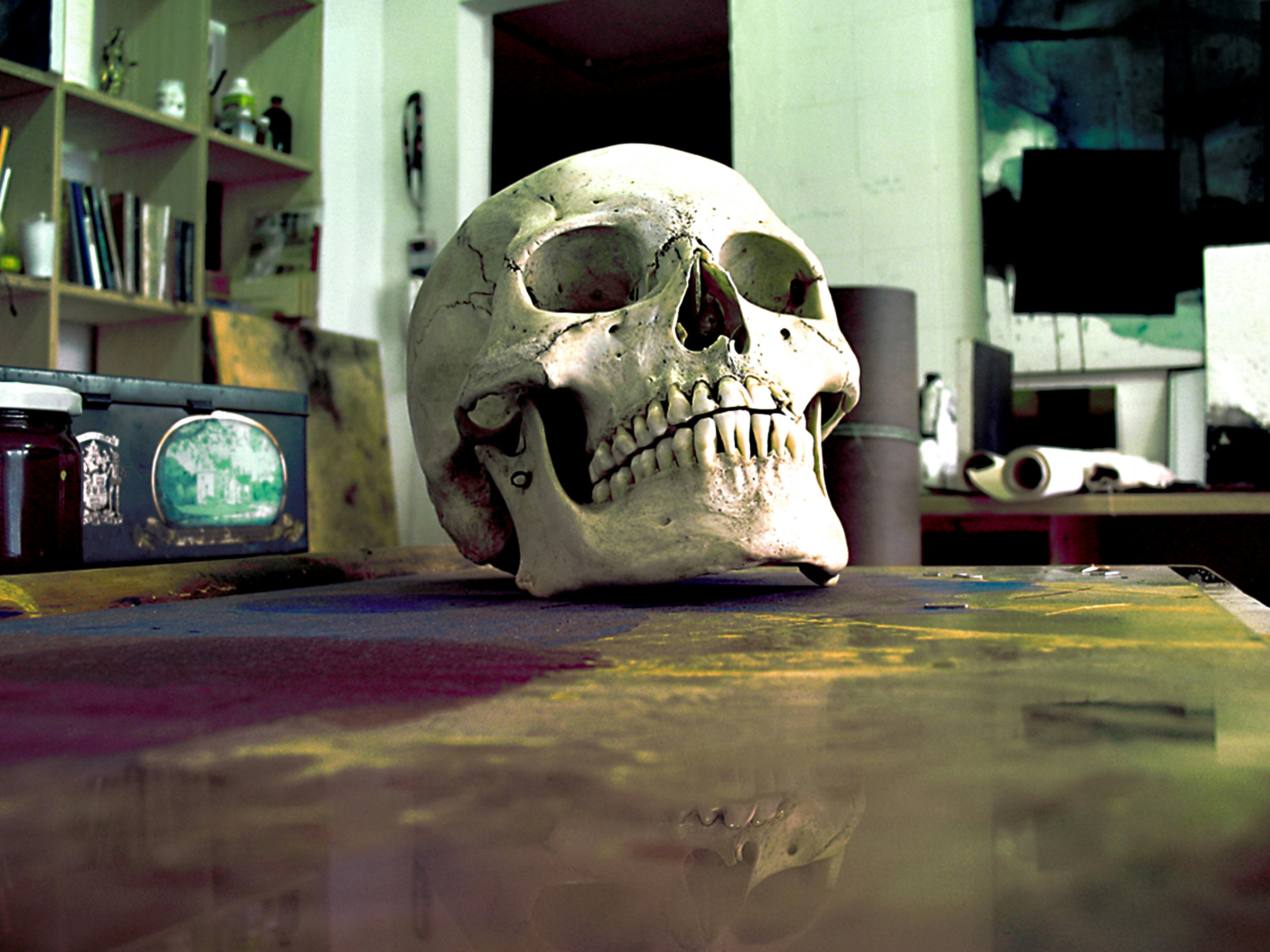 Skull at the Workshop: A Quiet Studio Portrait of Decay