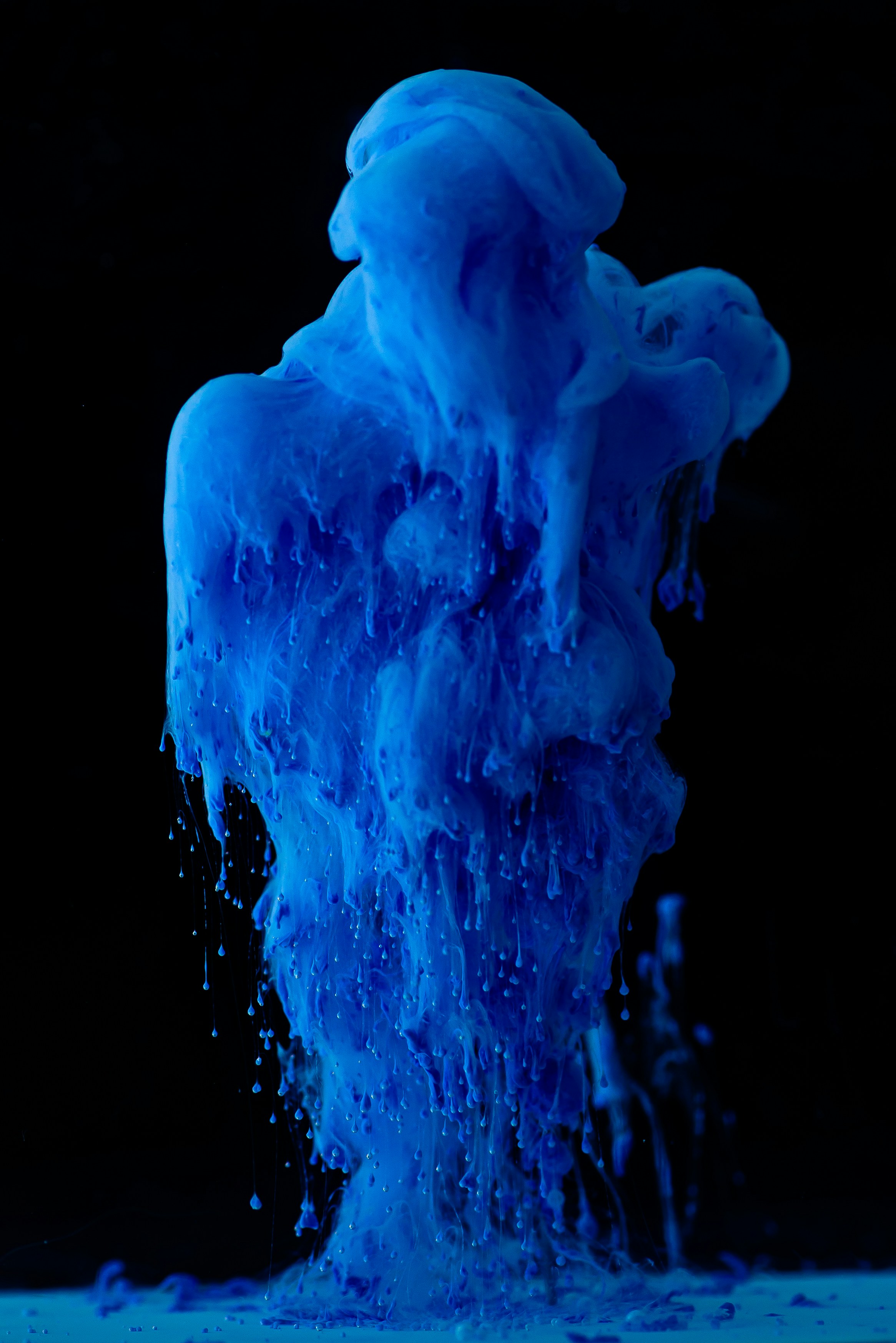 Blue Background Mugshot Pictures | Download Free Images on Unsplash