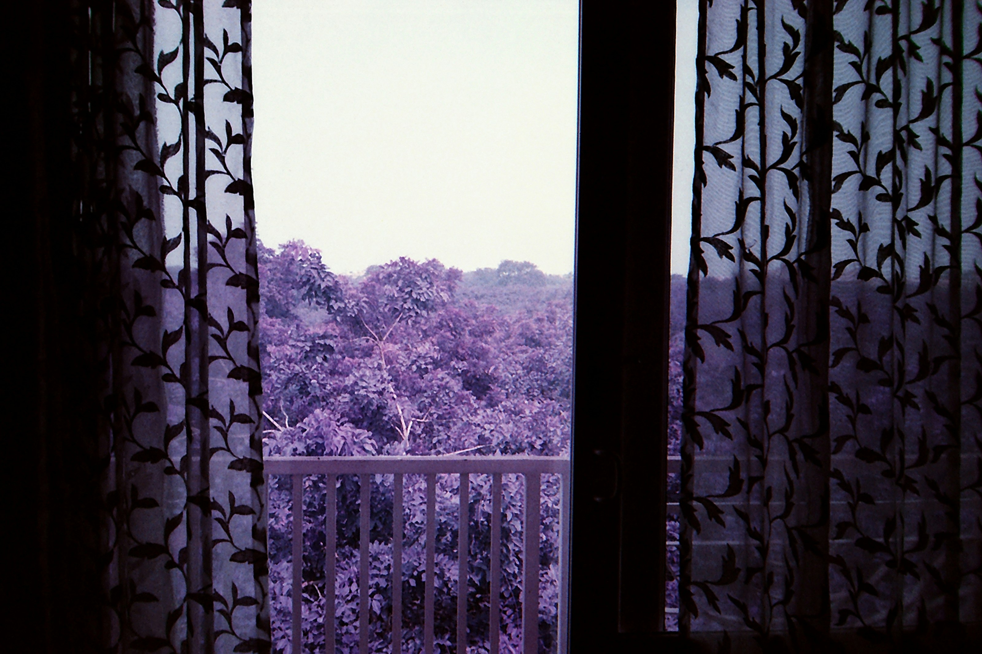 Sheer curtains frame a tranquil view of lush, purple-tinged trees outside a balcony. The scene evokes a sense of calm and connection with nature.