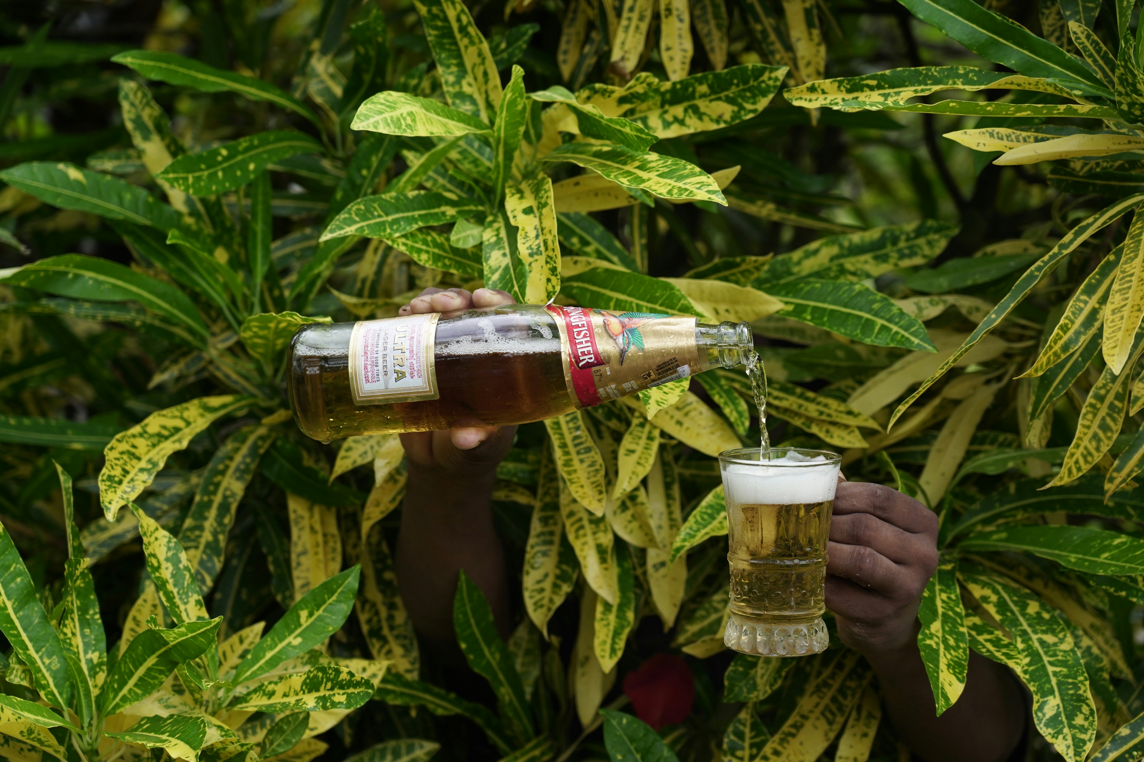 person holding clear glass bottle