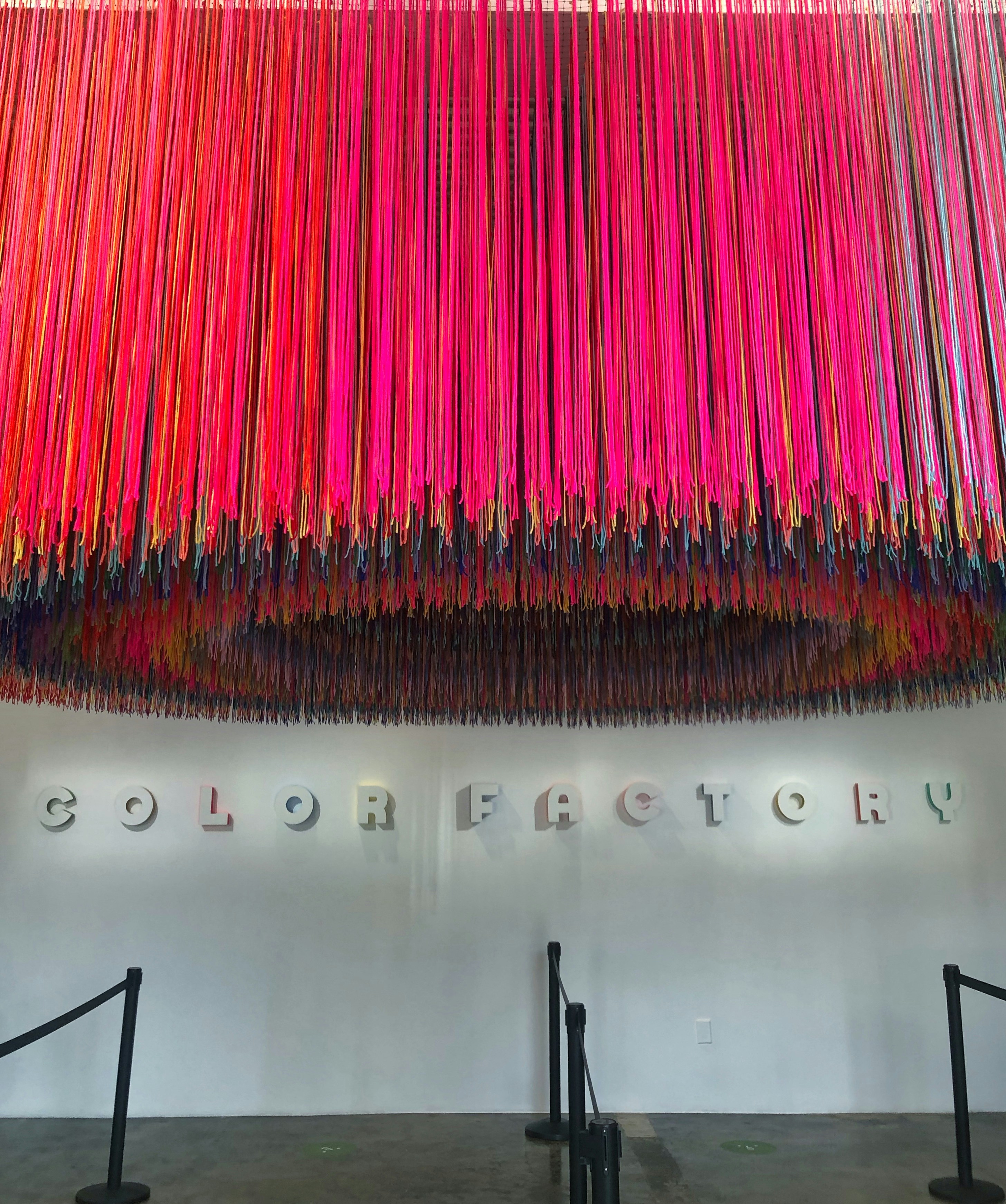 Threads of Color: An Arch of Hanging Hues Over a Quiet Gallery