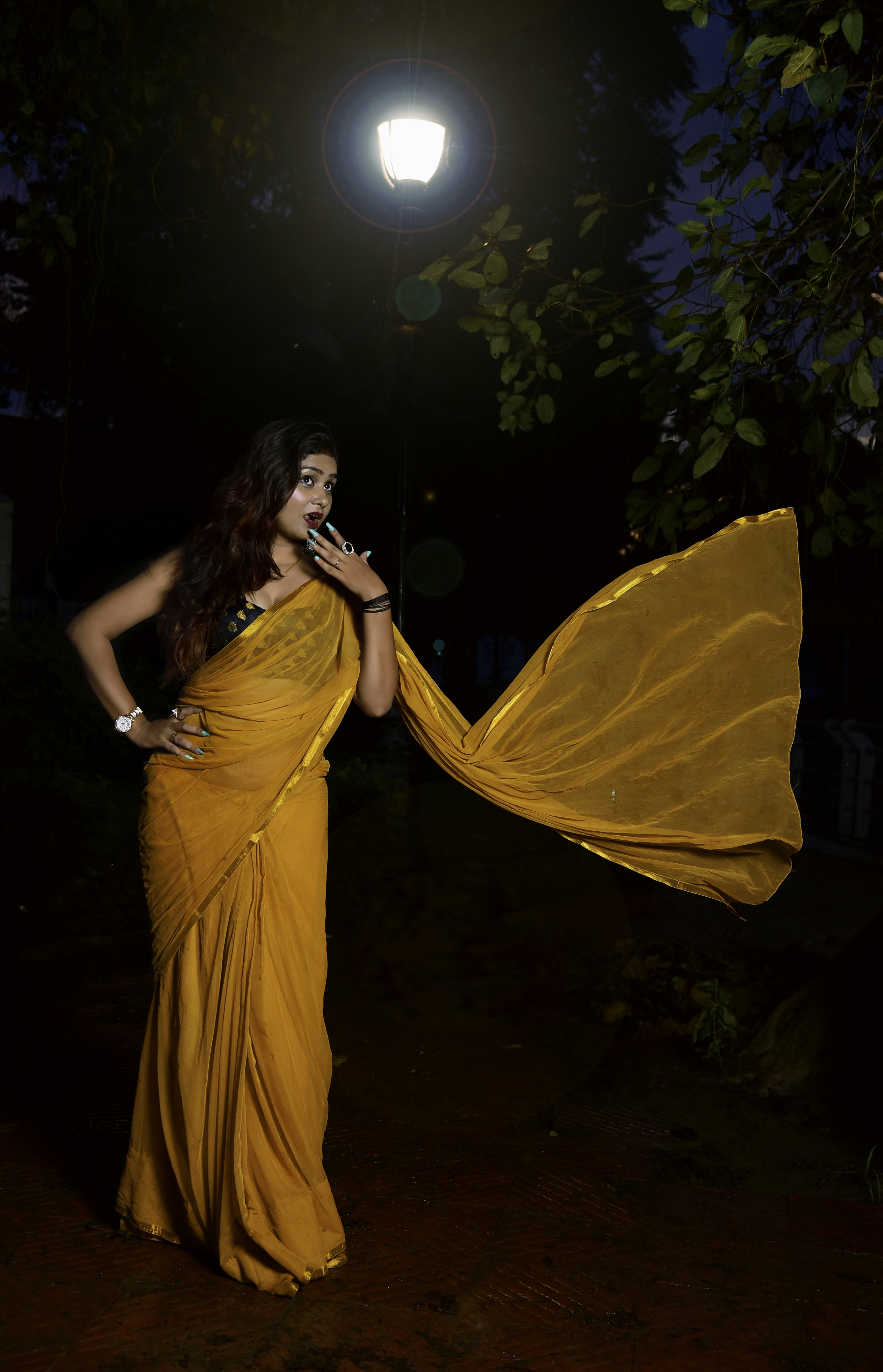 Whispers of the Night: Elegance in Motion