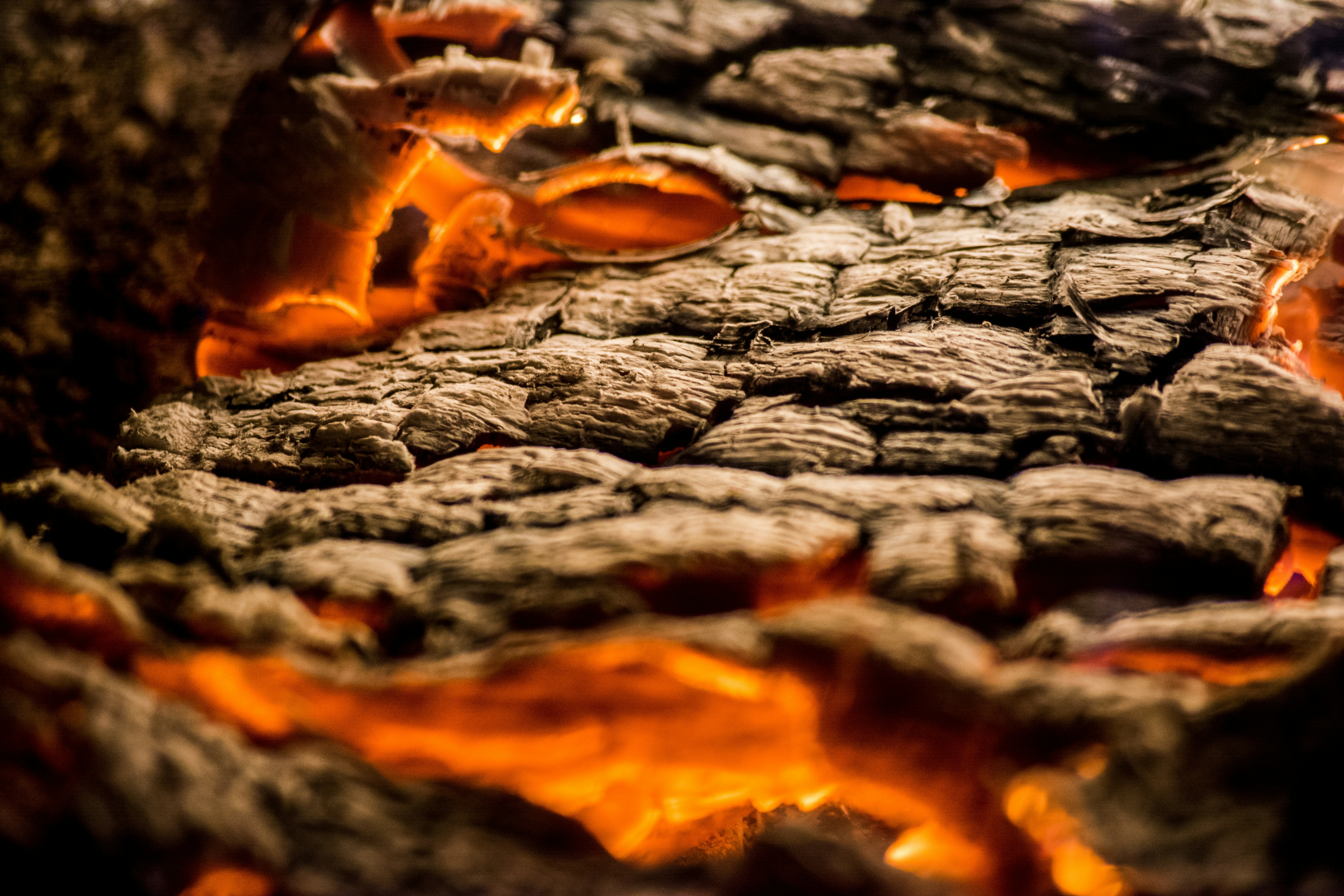 Close-up of charred wood with glowing embers, highlighting the textures and warmth of a smoldering fire.
