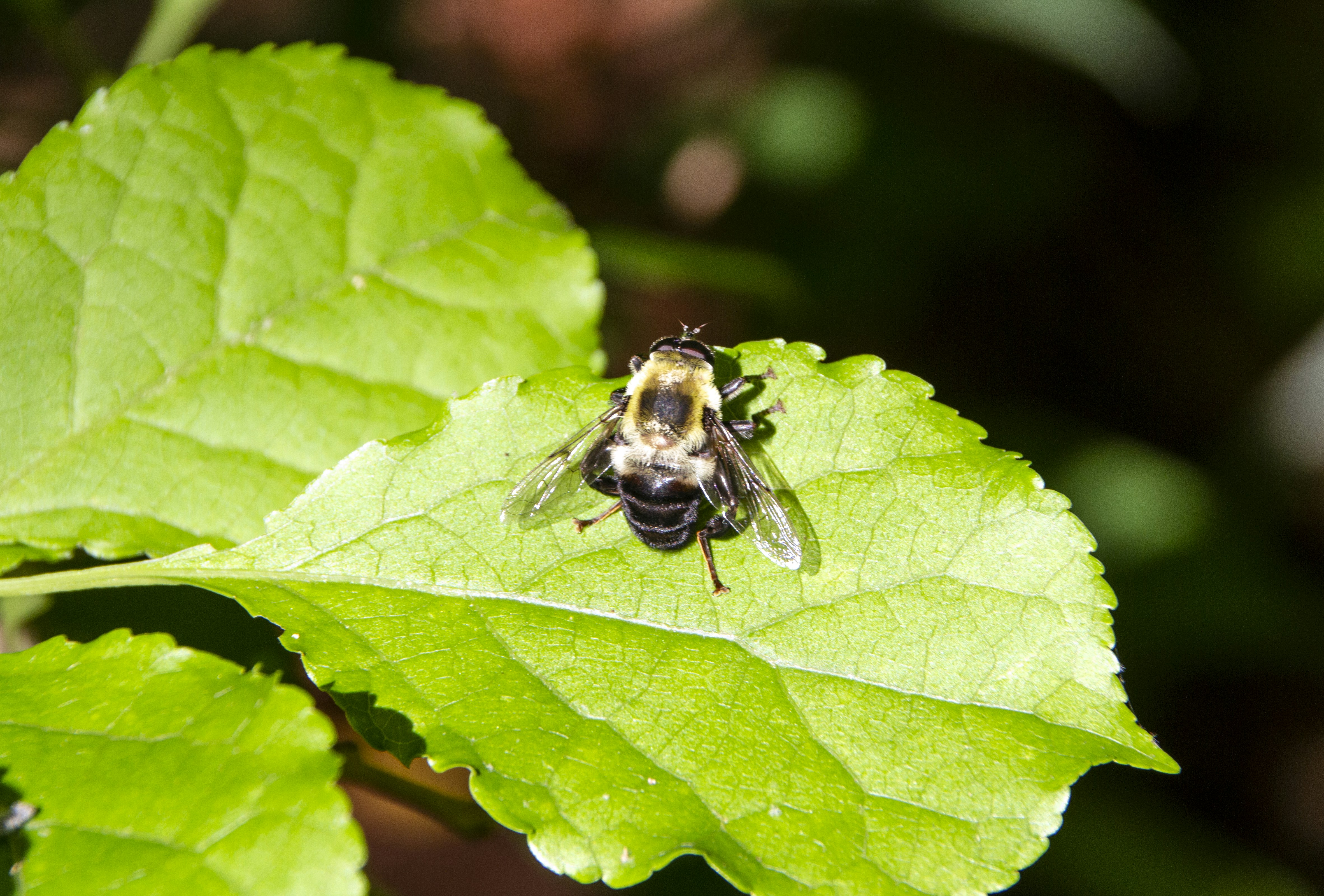 Crystal Butler (@crystal_butler) | Unsplash Photo Community