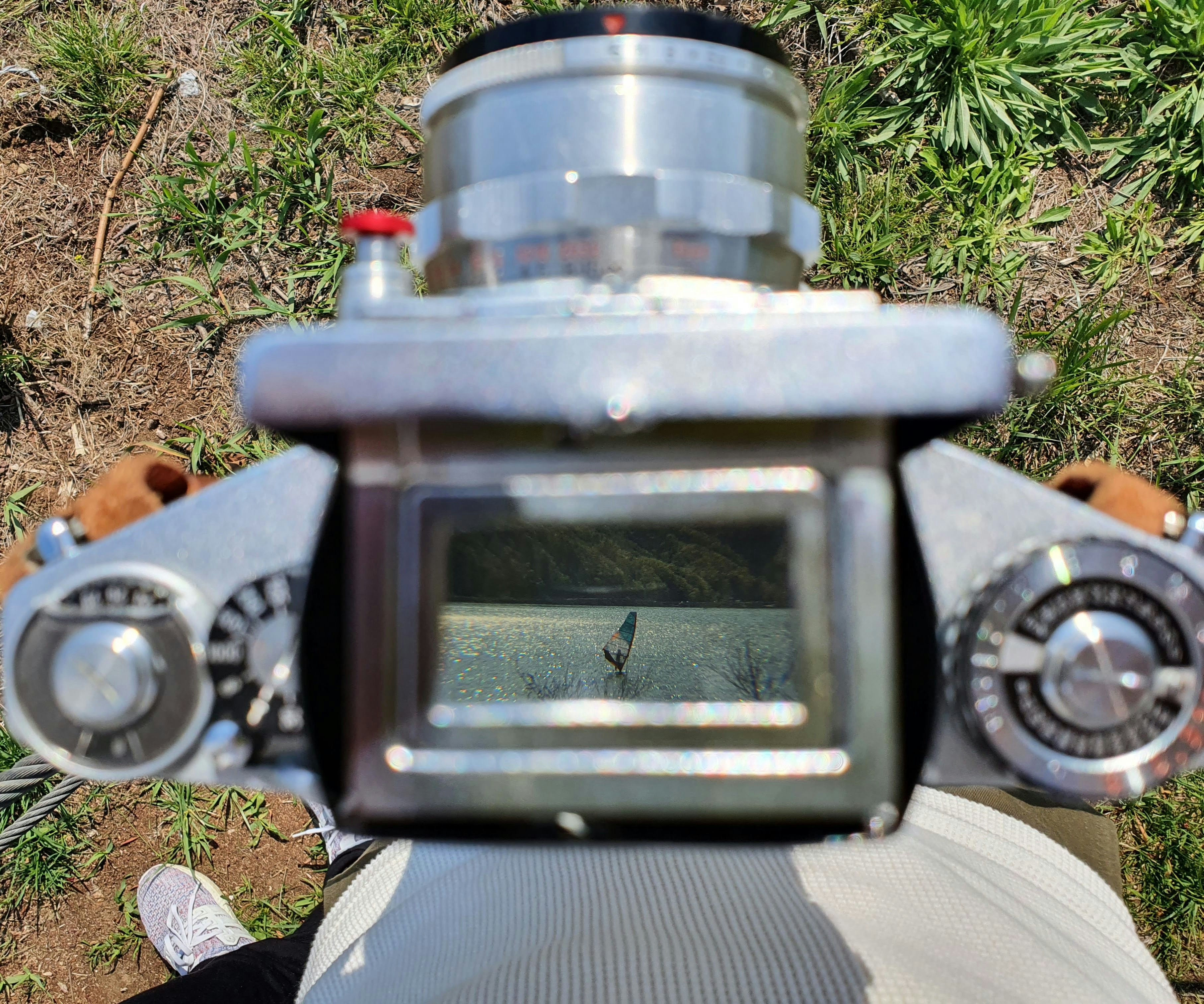 Tiny Target in the Viewfinder: A Bird on the Ground Framed by a Handheld Camera