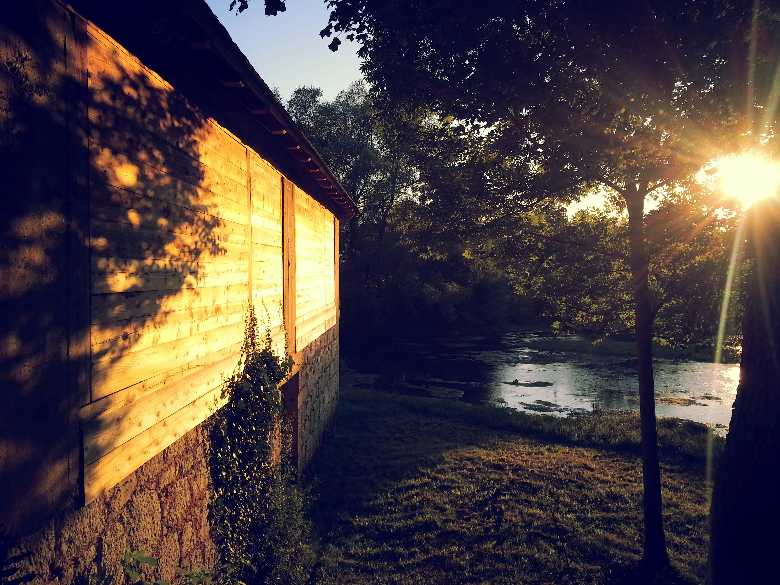 Sunlight bathes a wooden wall and surrounding trees, casting intricate shadows over a tranquil riverside scene.