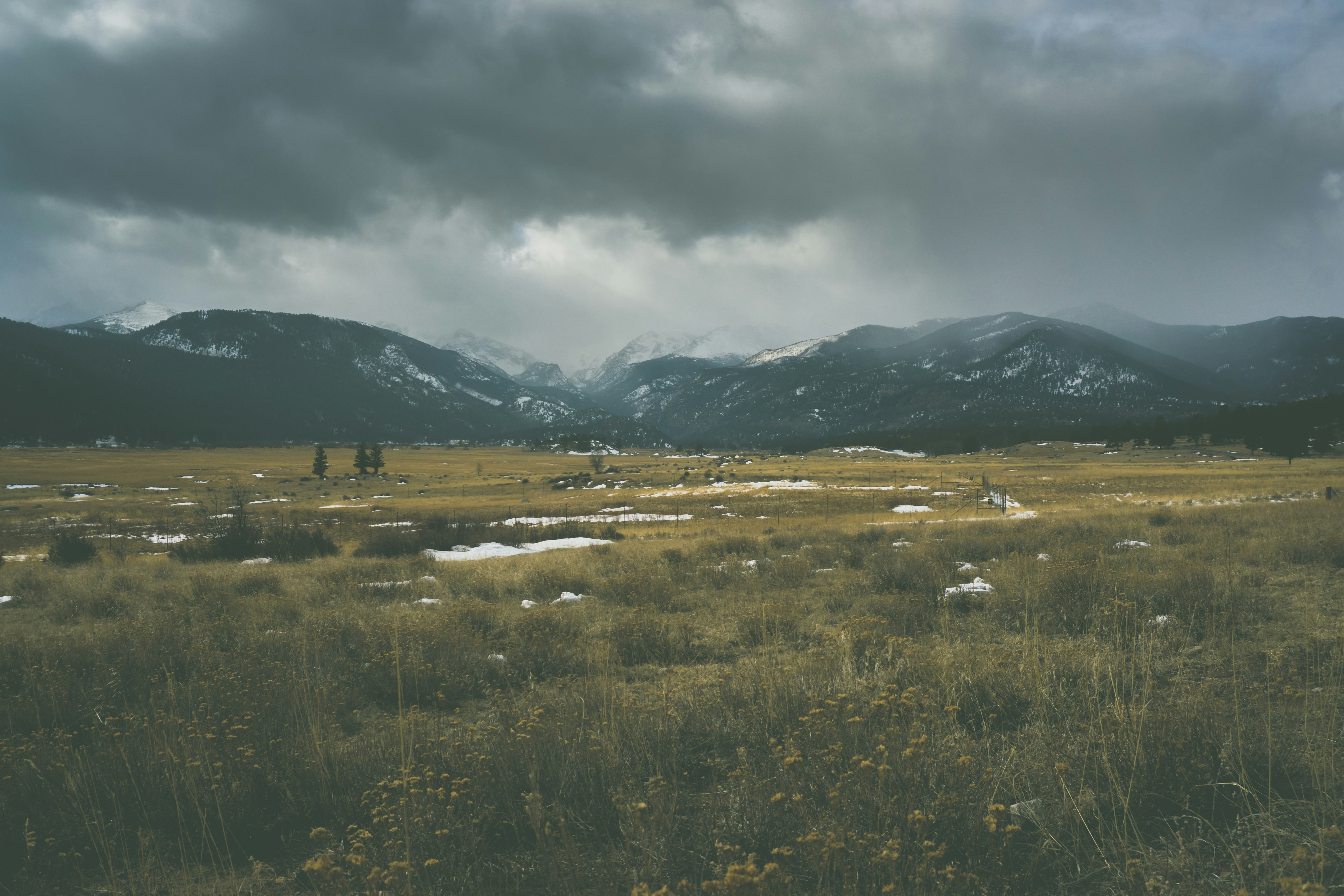 Rain Field Pictures | Download Free Images on Unsplash