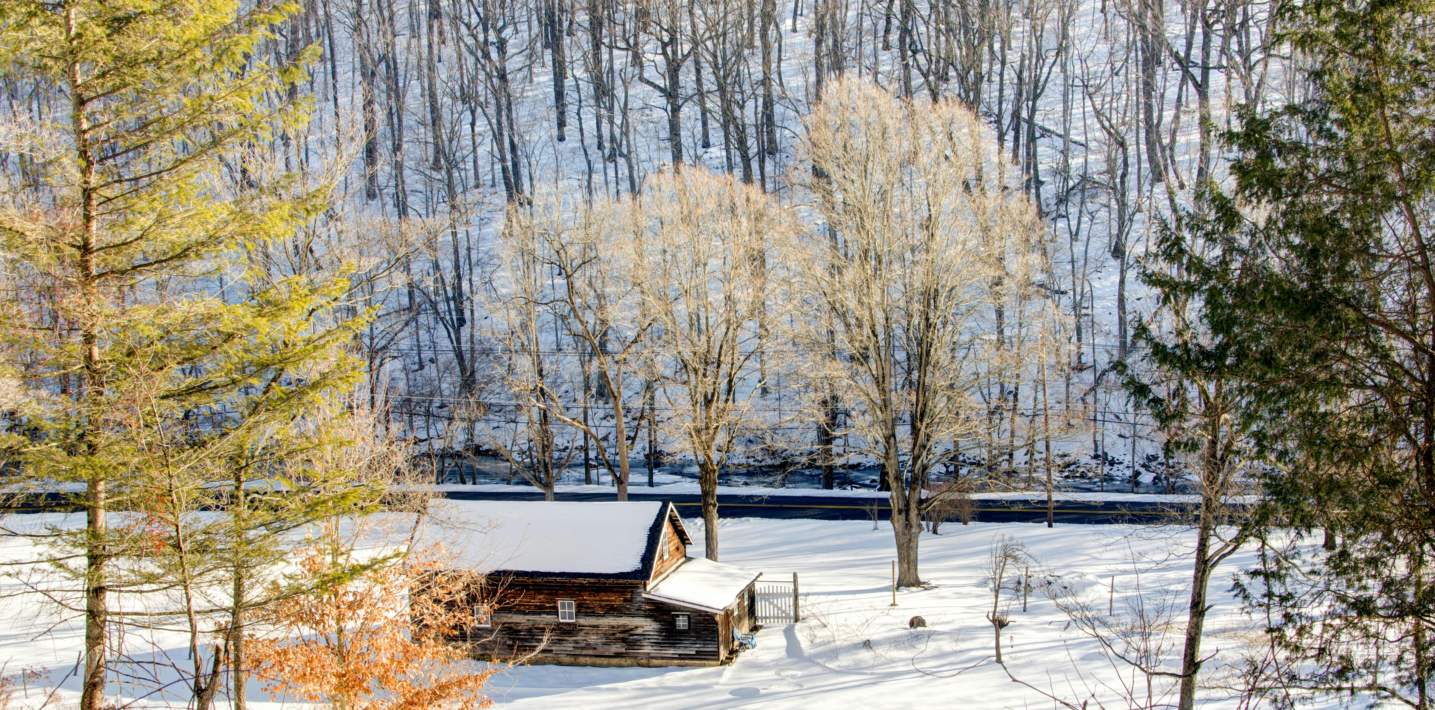 Rustic cabin nestled in a snow-covered forest with bare trees under a clear sky.