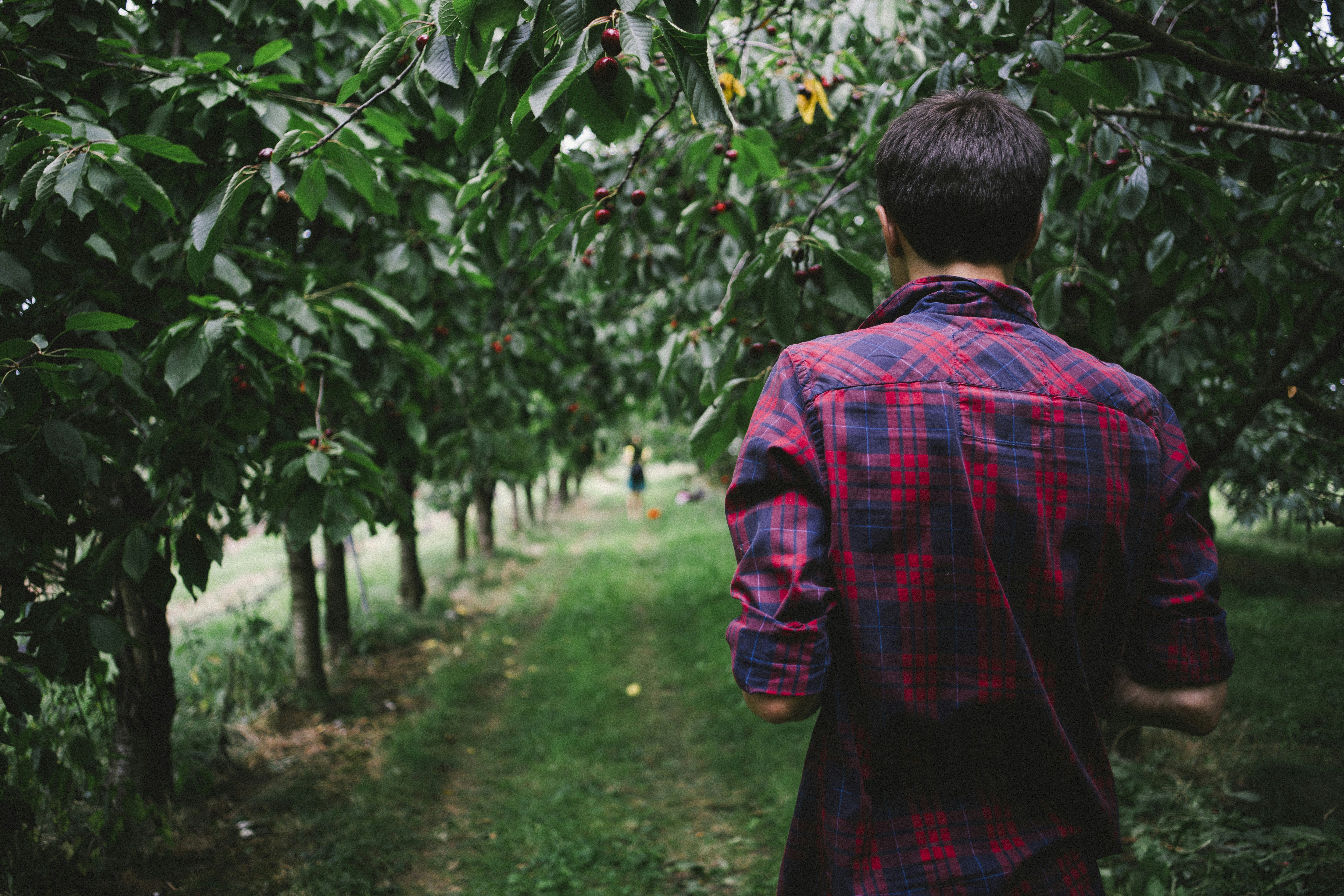 Barn Images (@barnimages) | Unsplash 사진 커뮤니티