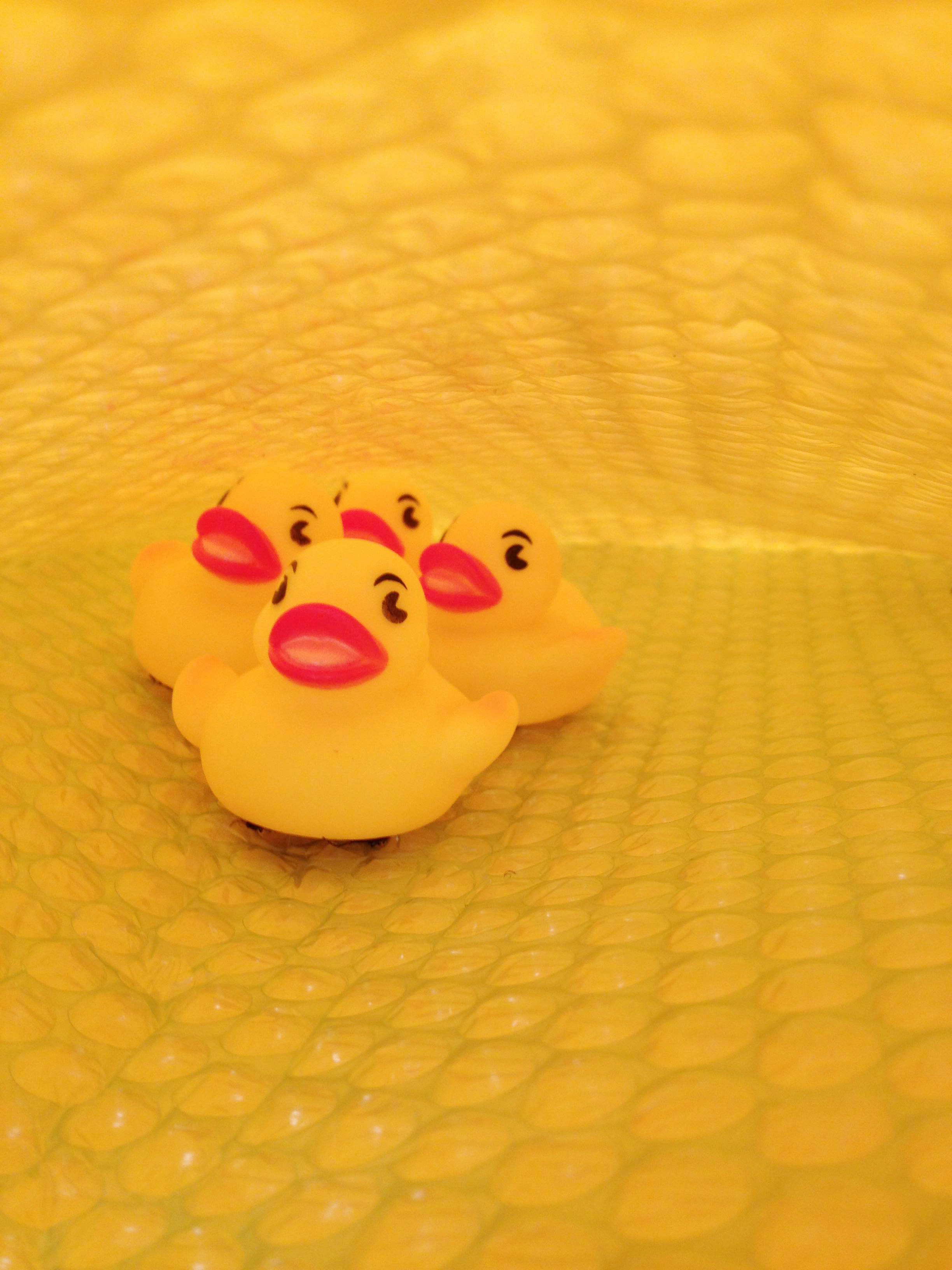 Quin Stevenson (@qstevenson) | Communauté photos Unsplash