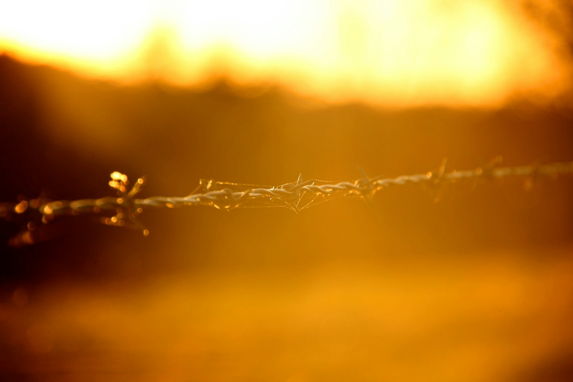 Jeremy Ricketts (@jeremydgreat) | Unsplash Photo Community