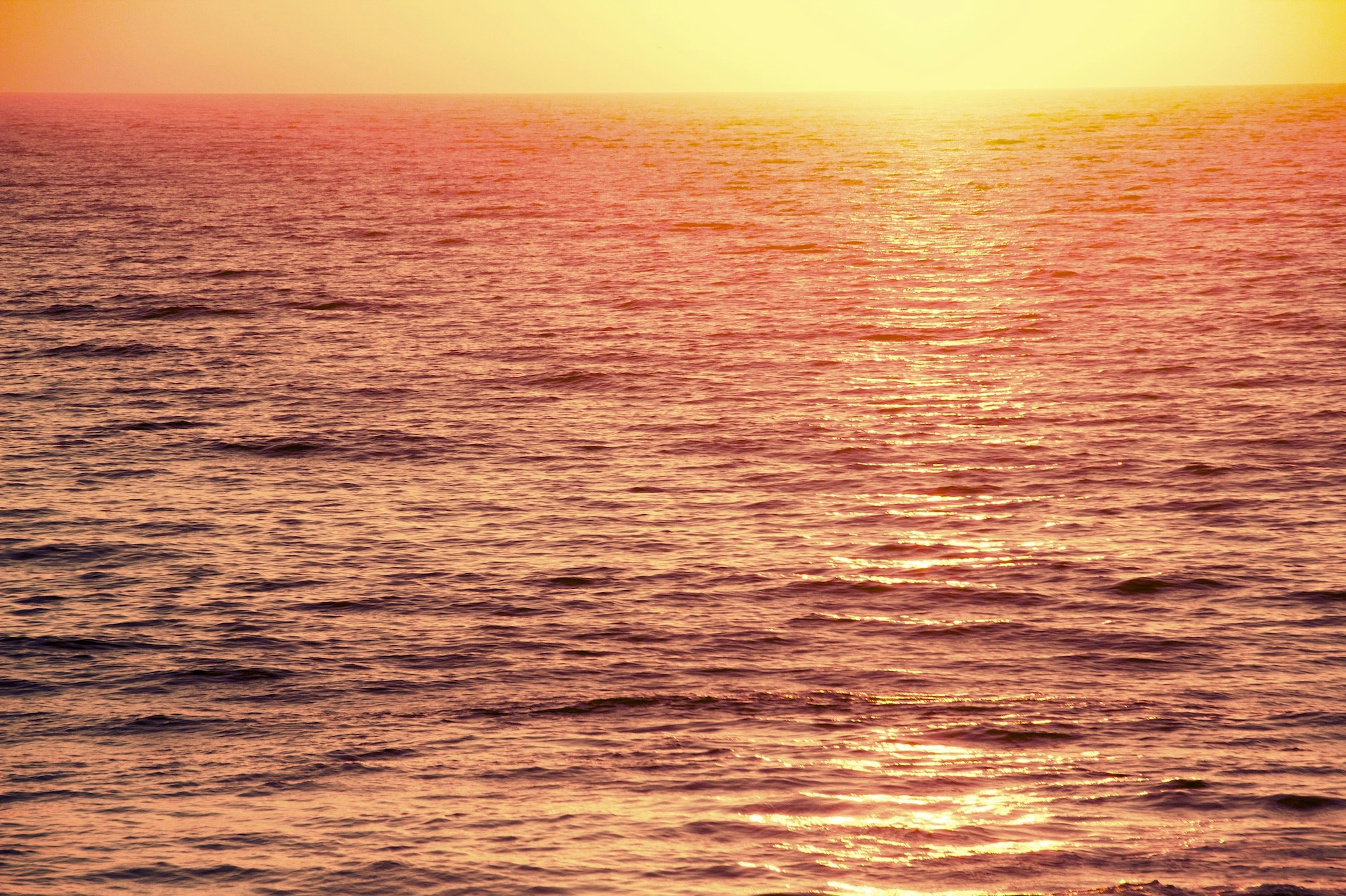 Jeremy Ricketts (@jeremydgreat) | Unsplash Photo Community