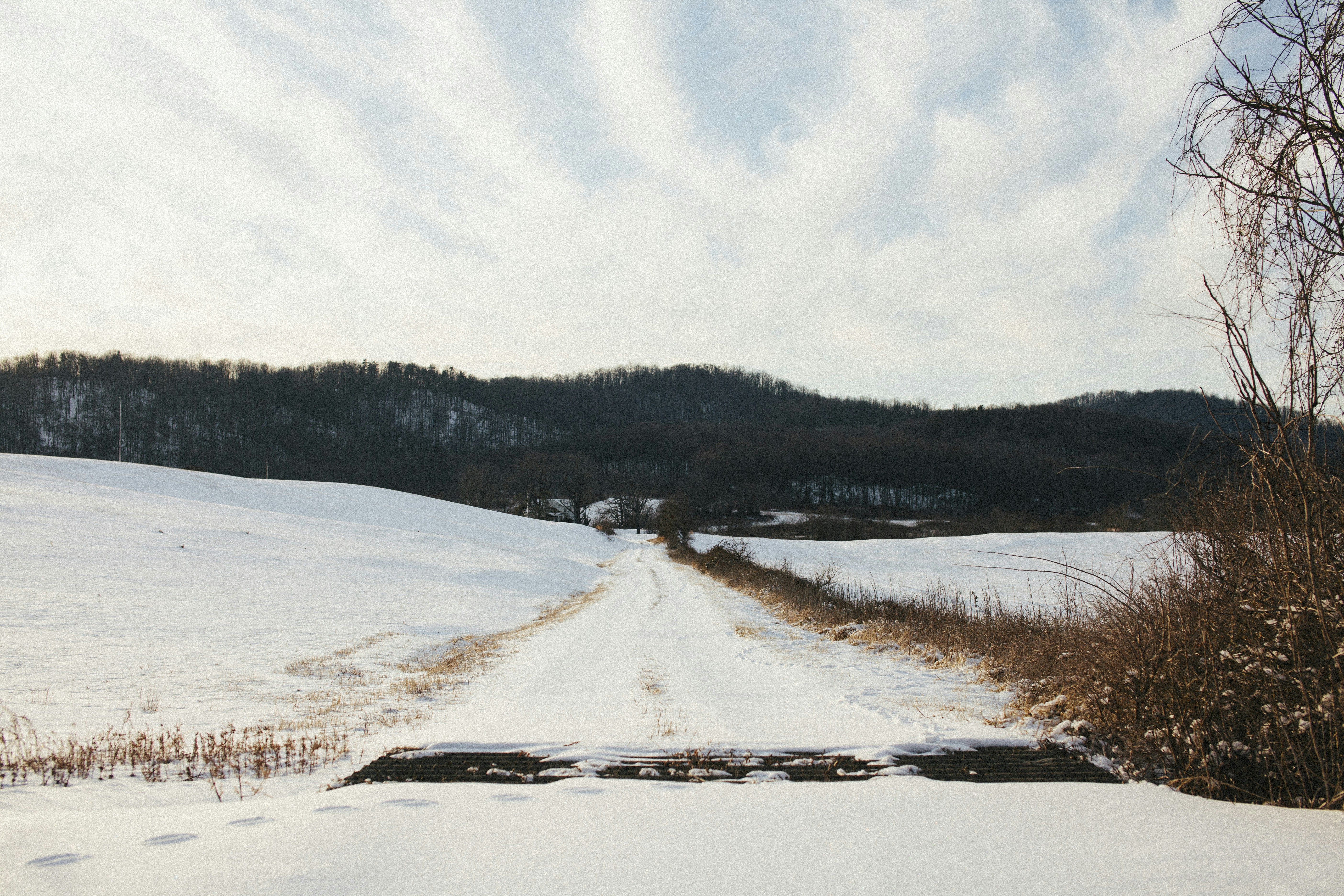 Karl Fredrickson | Unsplash