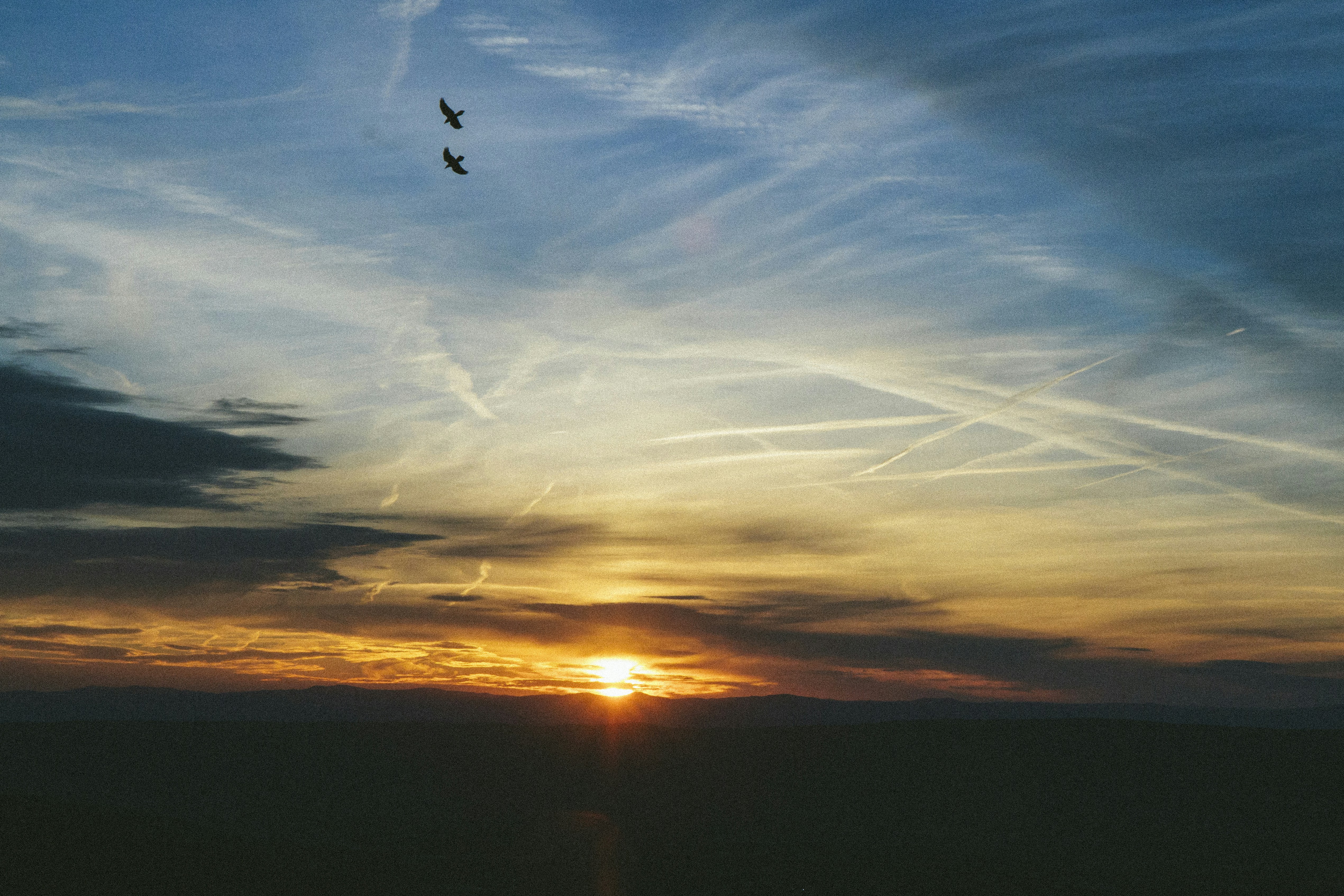 Karl Fredrickson | Unsplash