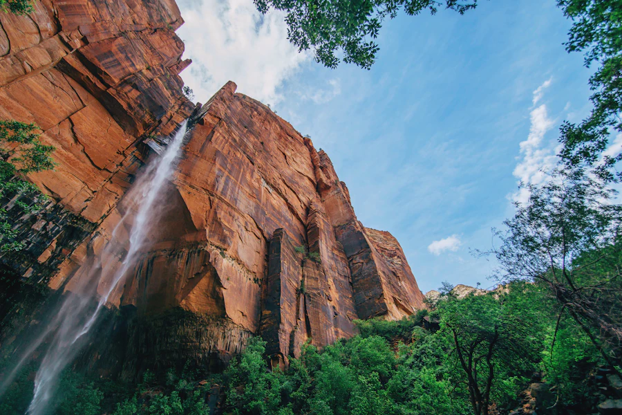 A narrow waterfall drops from towering red sandstone cliffs into lush green canyon vegetation under a blue sky. Tree branches frame the scene at the edges.