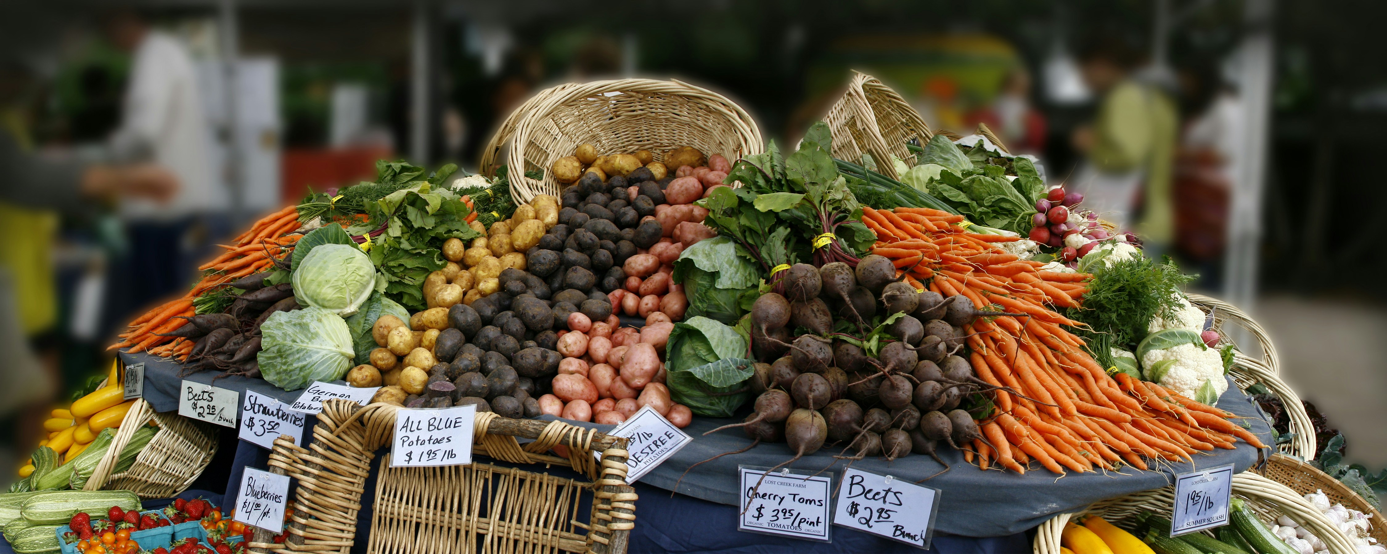 Food Security 101: Part 8 Visions for Local Food System...