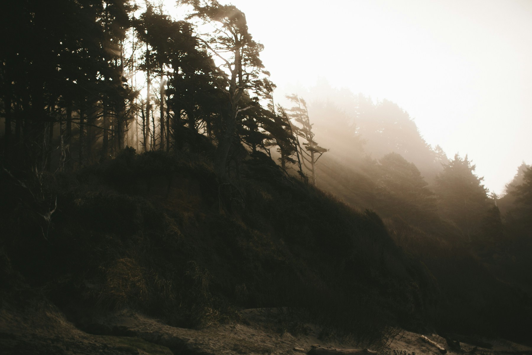 Nicole Mason (@neekmason) | Komunitas Foto Unsplash