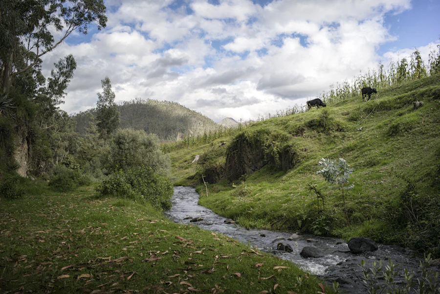 A winding stream cuts through grassy hills under a bright, cloud-filled sky, with grazing animals on the right hillside. Trees and distant mountains frame the quiet rural landscape.