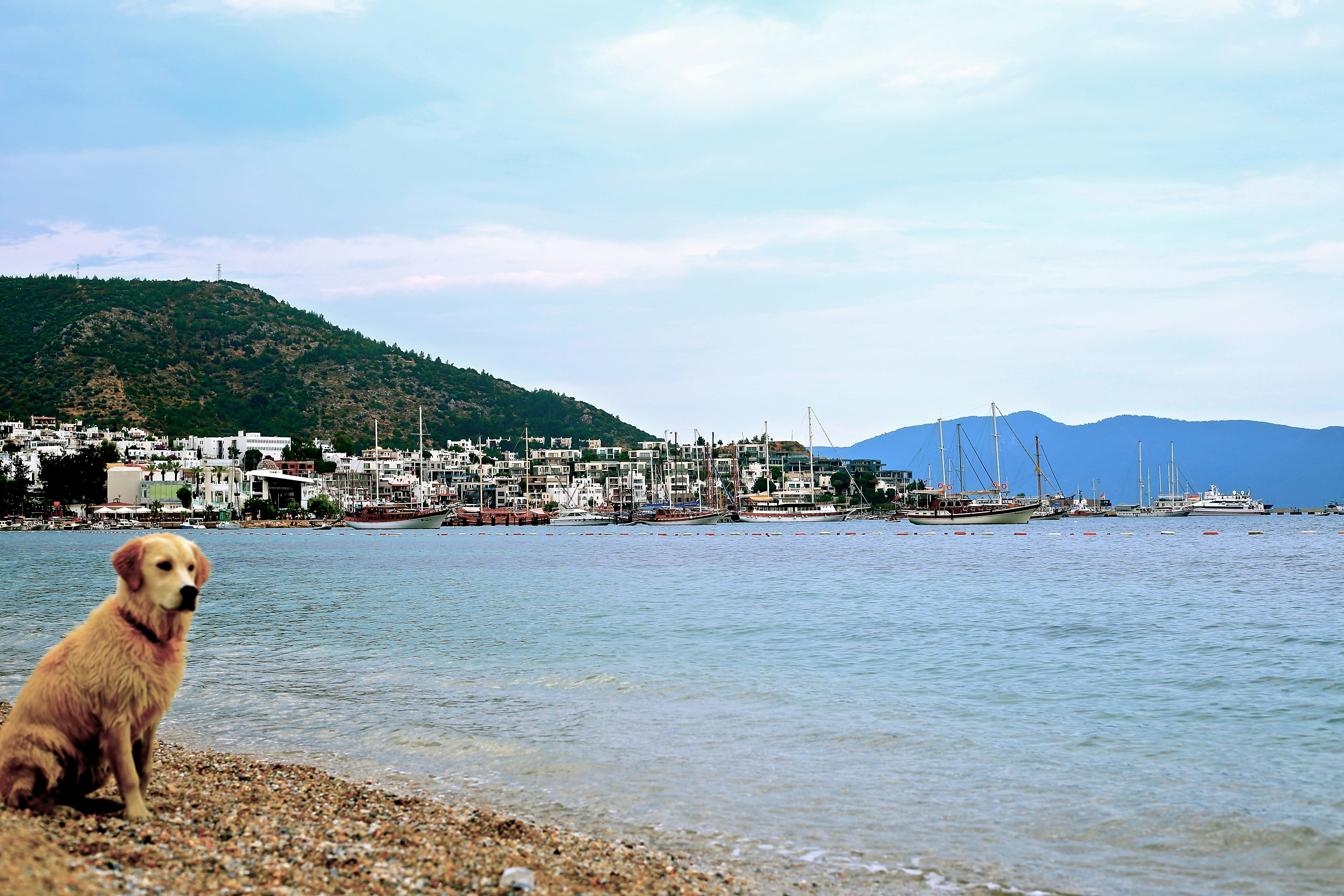 Daniela Cuevas (@danielacuevas) | Unsplashフォトコミュニティ