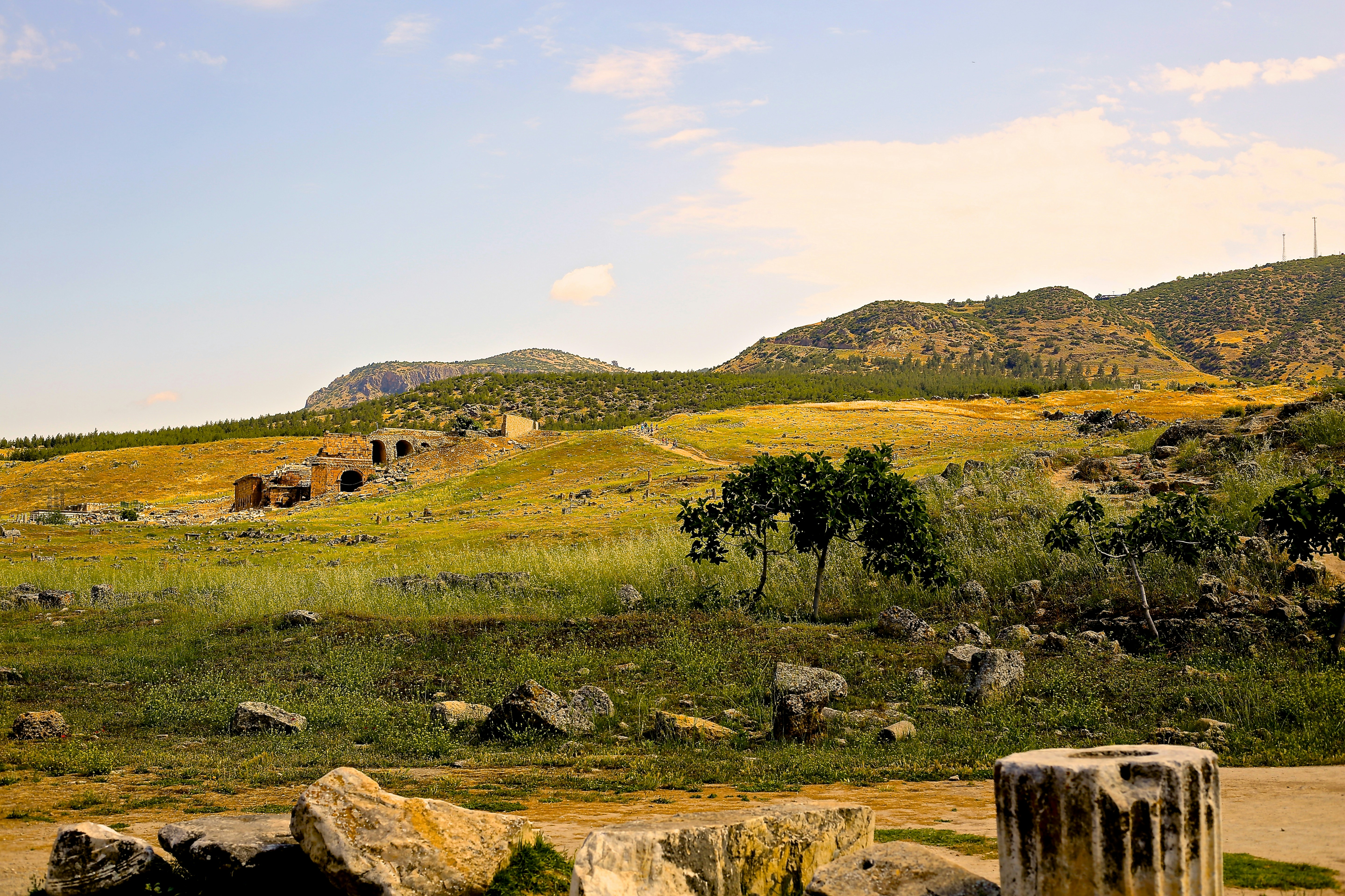 Daniela Cuevas (@danielacuevas) | Unsplashフォトコミュニティ