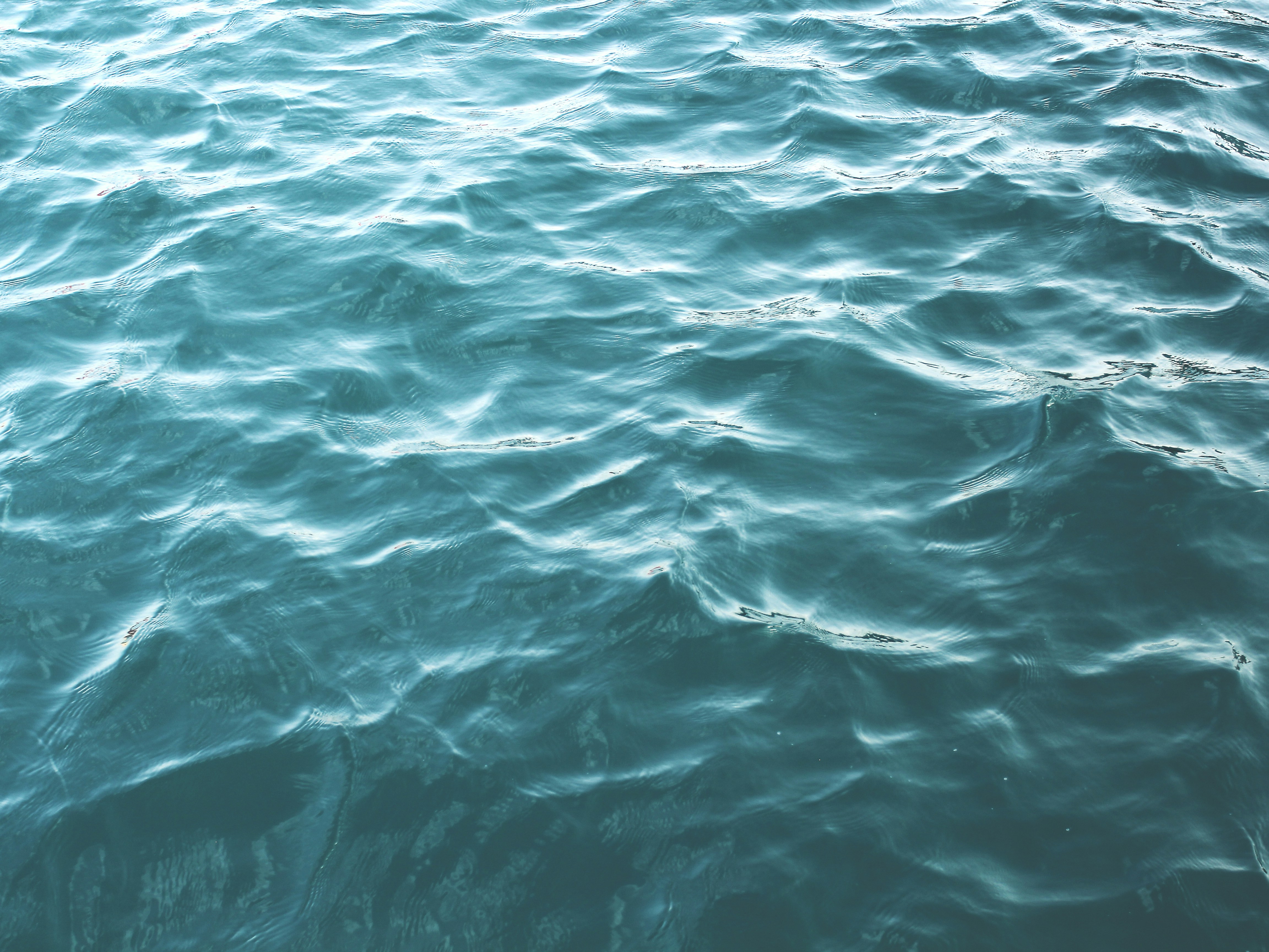 Water Sea Pictures | Download Free Images on Unsplash