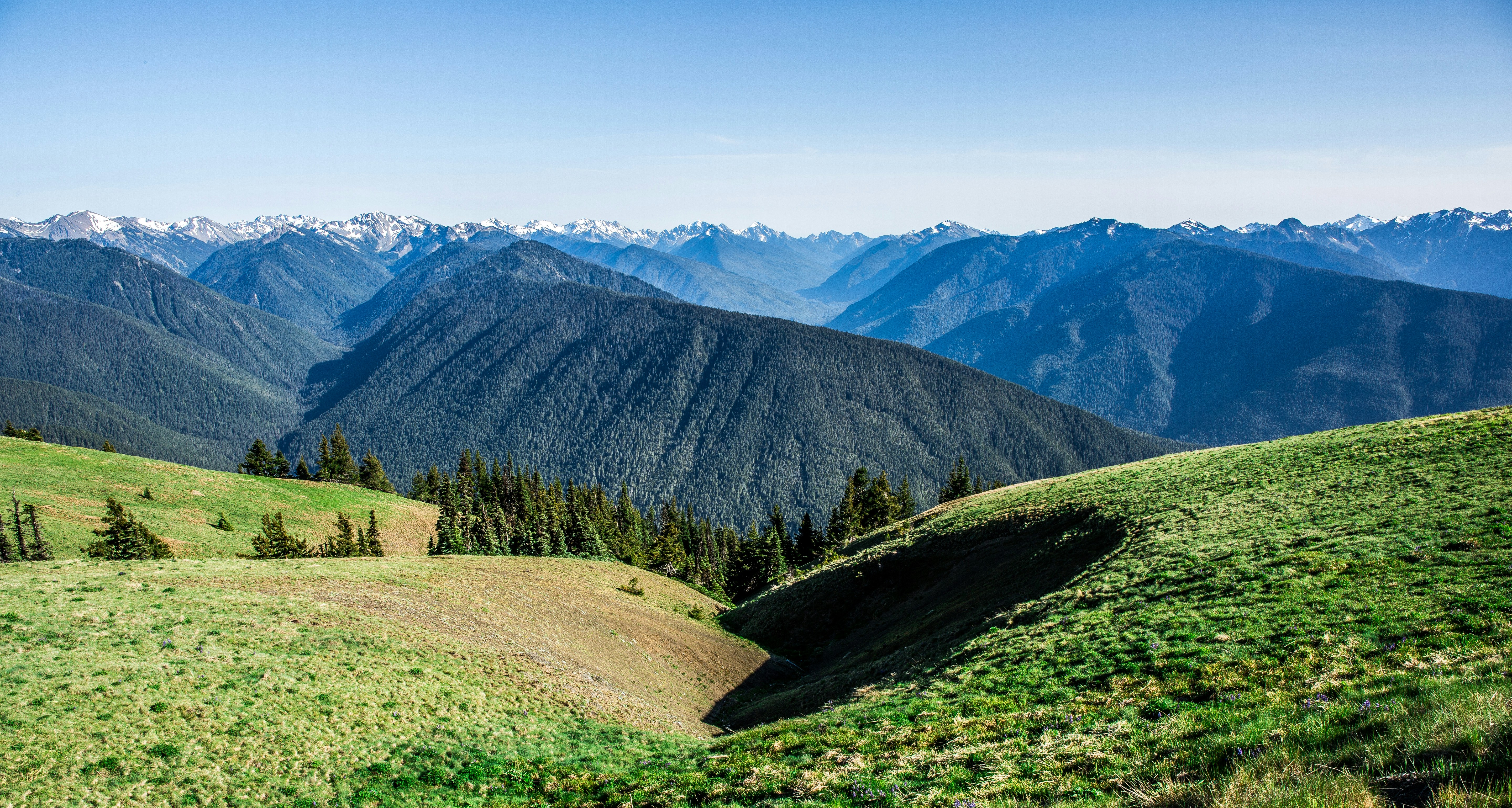 Lush green hills rise against a backdrop of distant blue mountains under a clear sky.