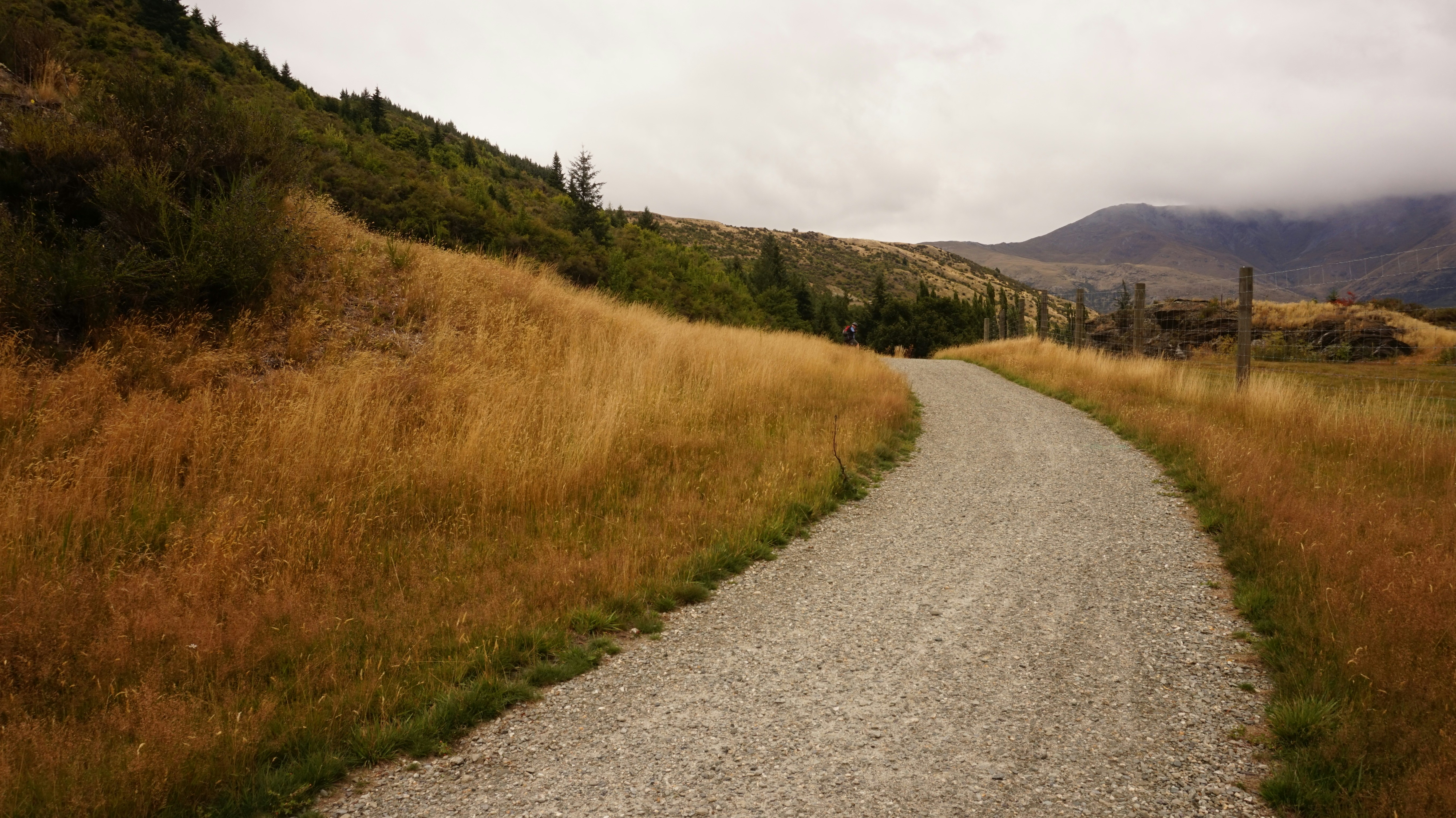 Gravel Road Pictures | Download Free Images on Unsplash