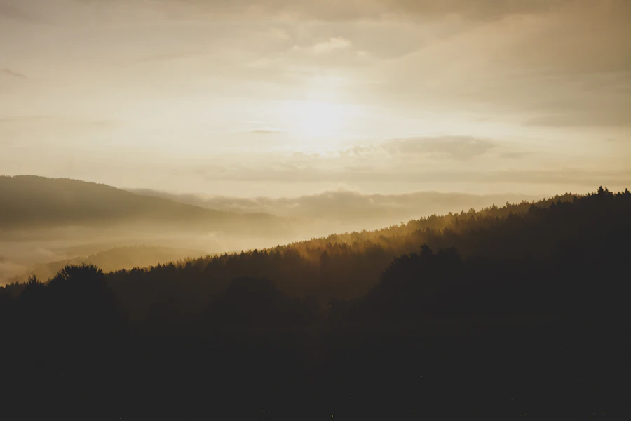 Sunlight pierces through fog over a forested hillside at dawn.